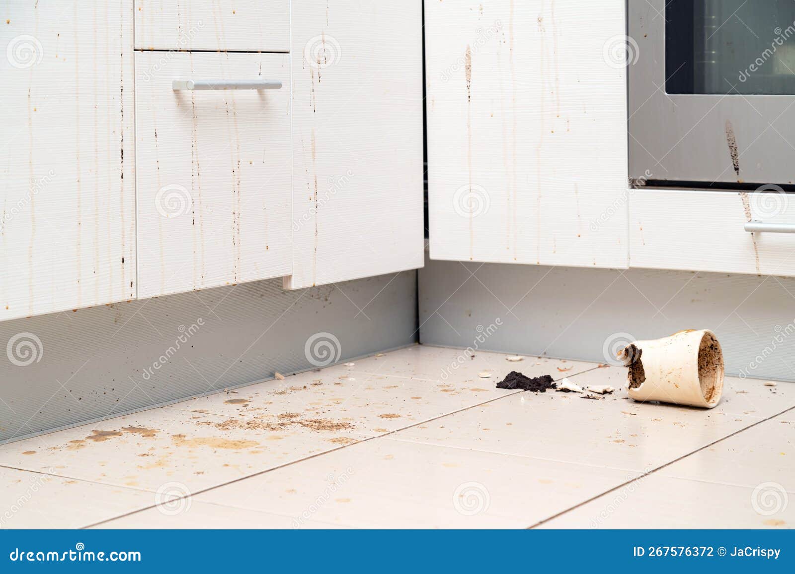 Broken Tea Cup Laying on the Kitchen Floor, Smashed Coffee Mug and ...