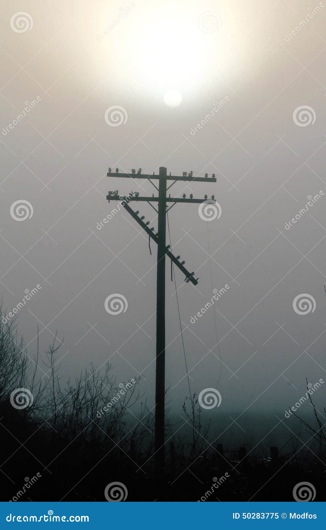 Broken Telephone Pole stock image. Image of outage, dangling - 50283775