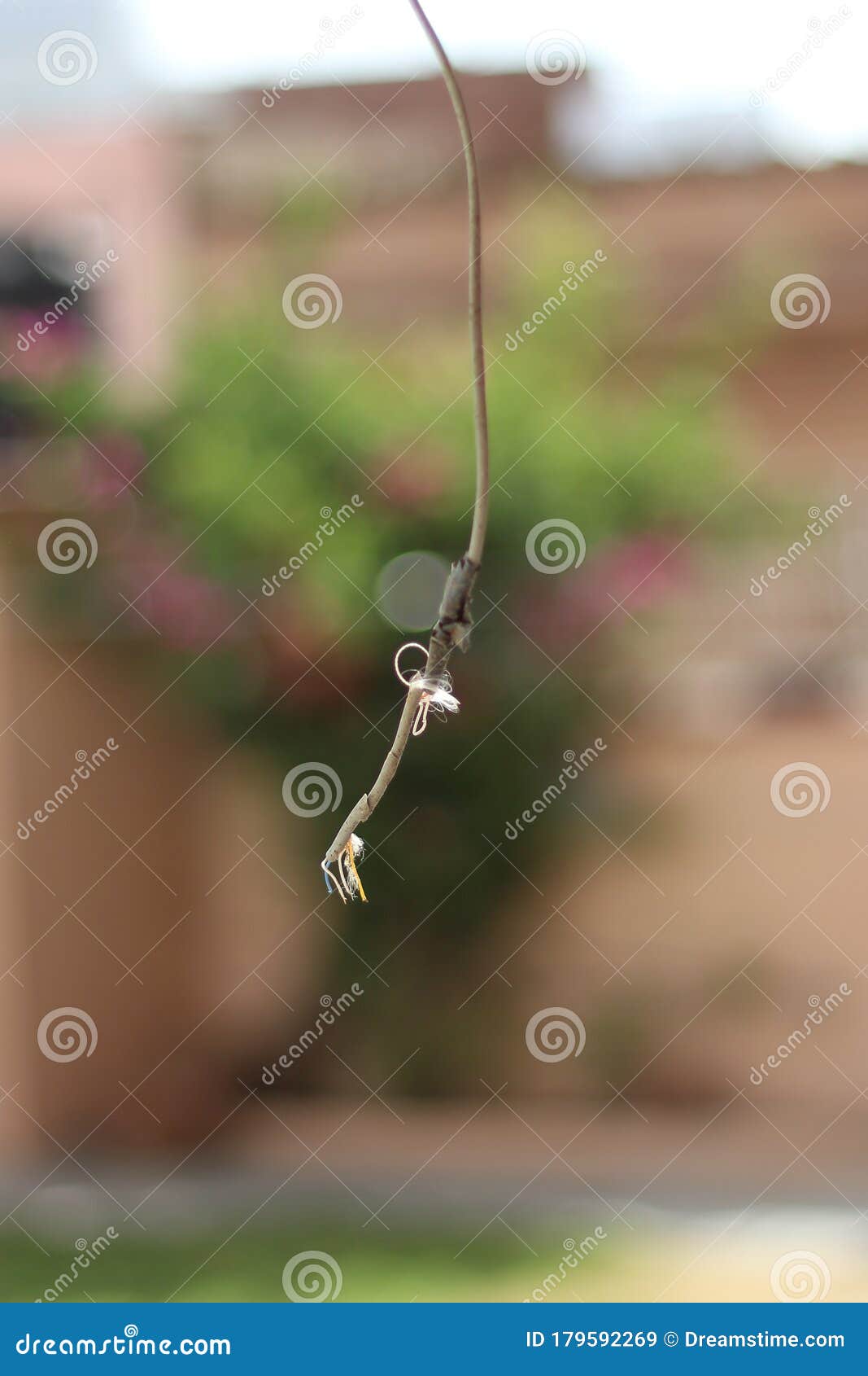 Broken Telephone Wire with the Wires Hanging Out Stock Image - Image of ...