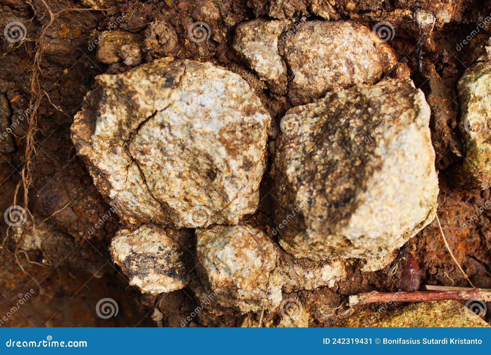 Broken textured rock stock image. Image of leaf, empty - 242319431