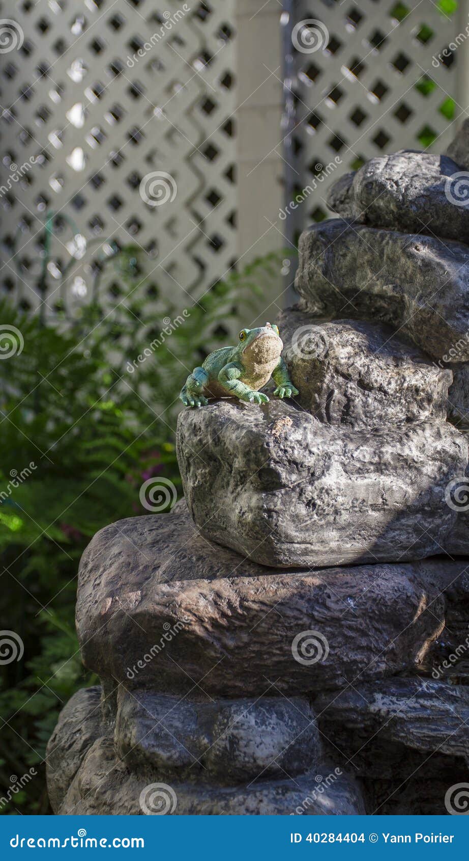 Broken toe frog stock photo. Image of plant, ornamental - 40284404