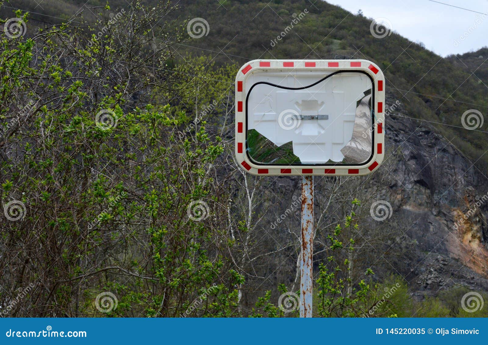 Broken traffic sign stock image. Image of spring, plant - 145220035