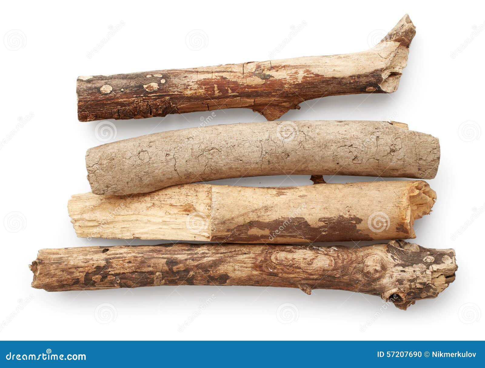 Broken tree branches stock photo. Image of macro, forest - 57207690