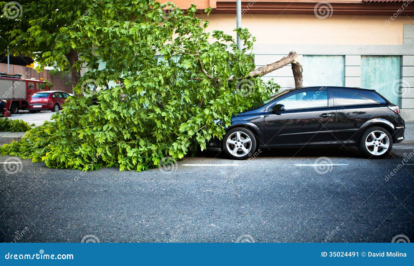 Broken Tree on a Car, after a Wind Storm. Stock Image - Image of fire ...