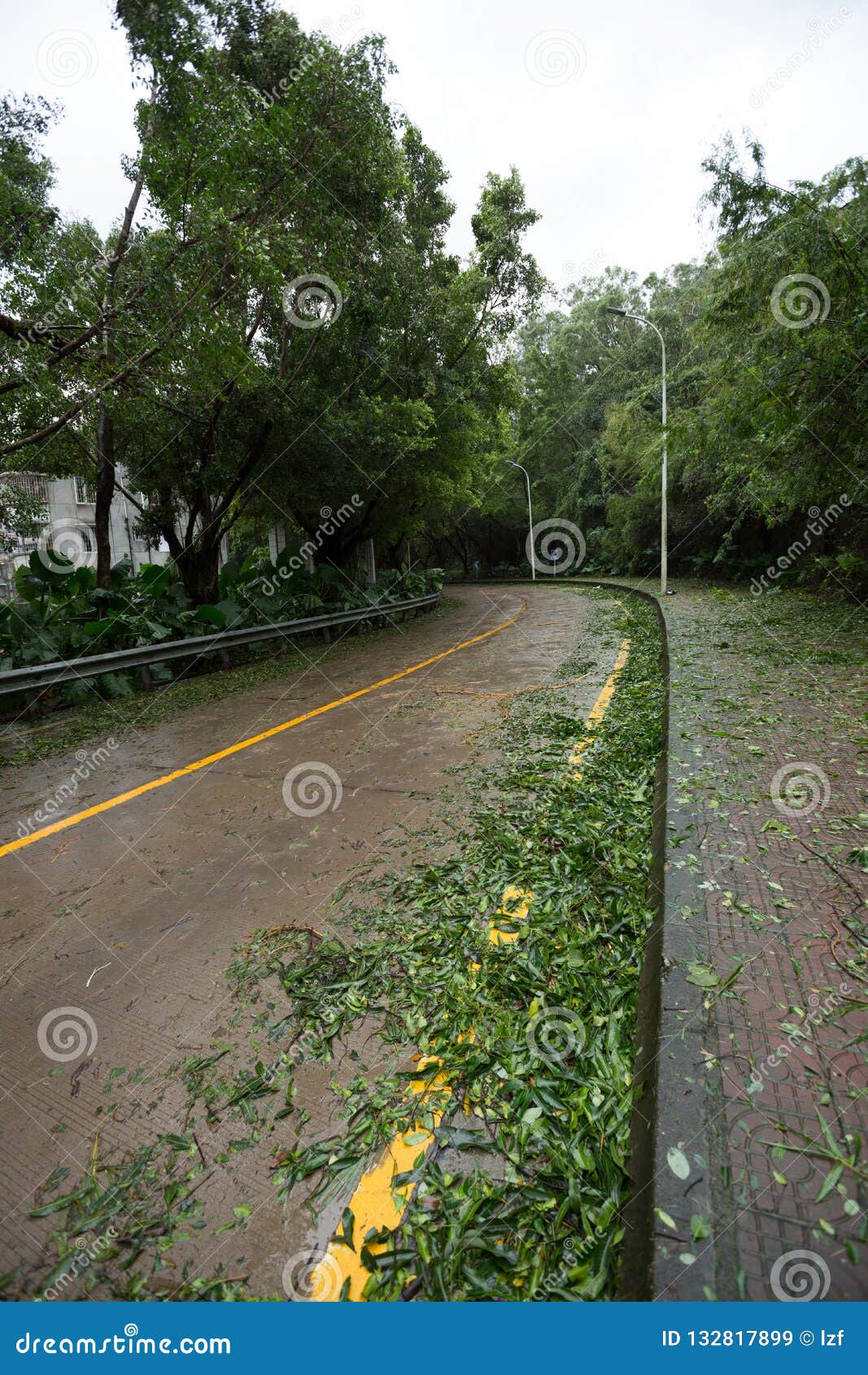 Broken Tree Fall Down Block the Road Stock Image - Image of kong, asian ...