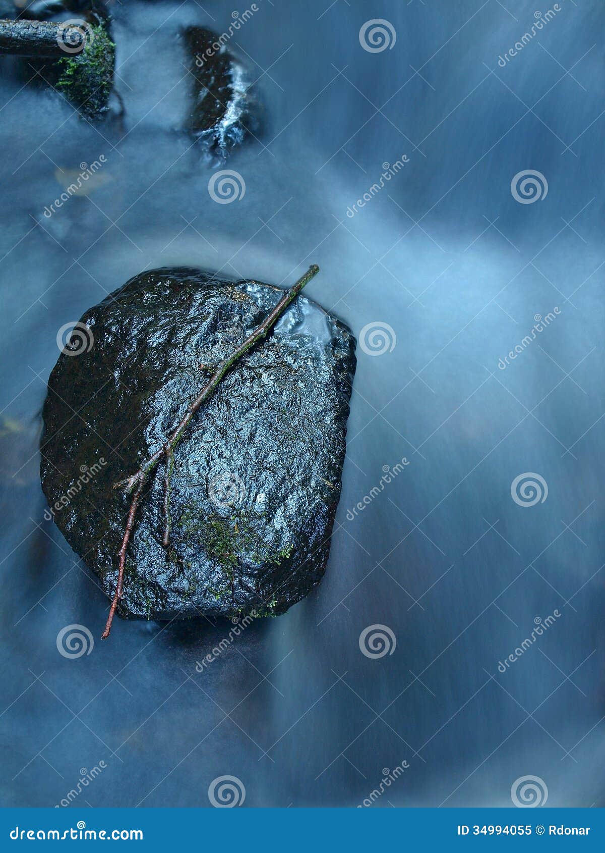 Broken Twig on Wet Stone Below Increased Water Level. Stock Image ...