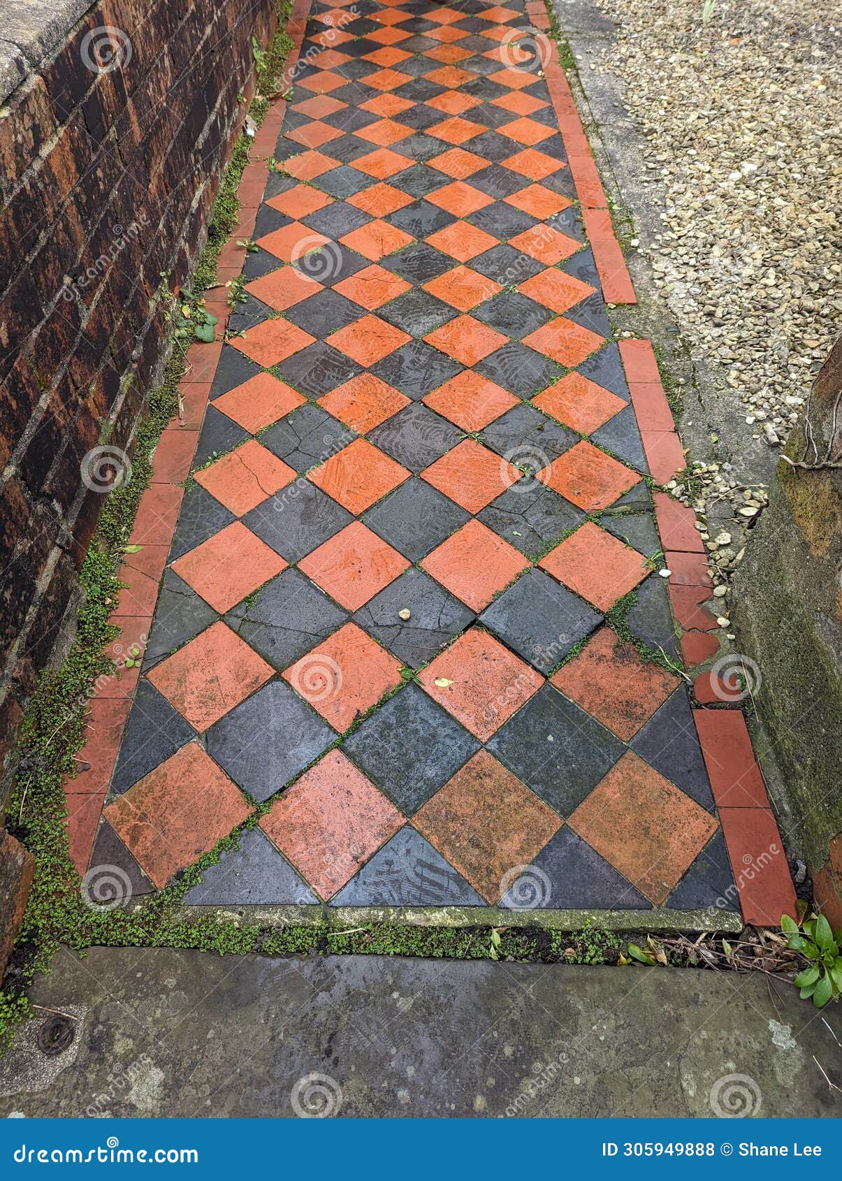 A Broken Victorian Tile Path with a Stone Wall and Plants Stock Photo ...