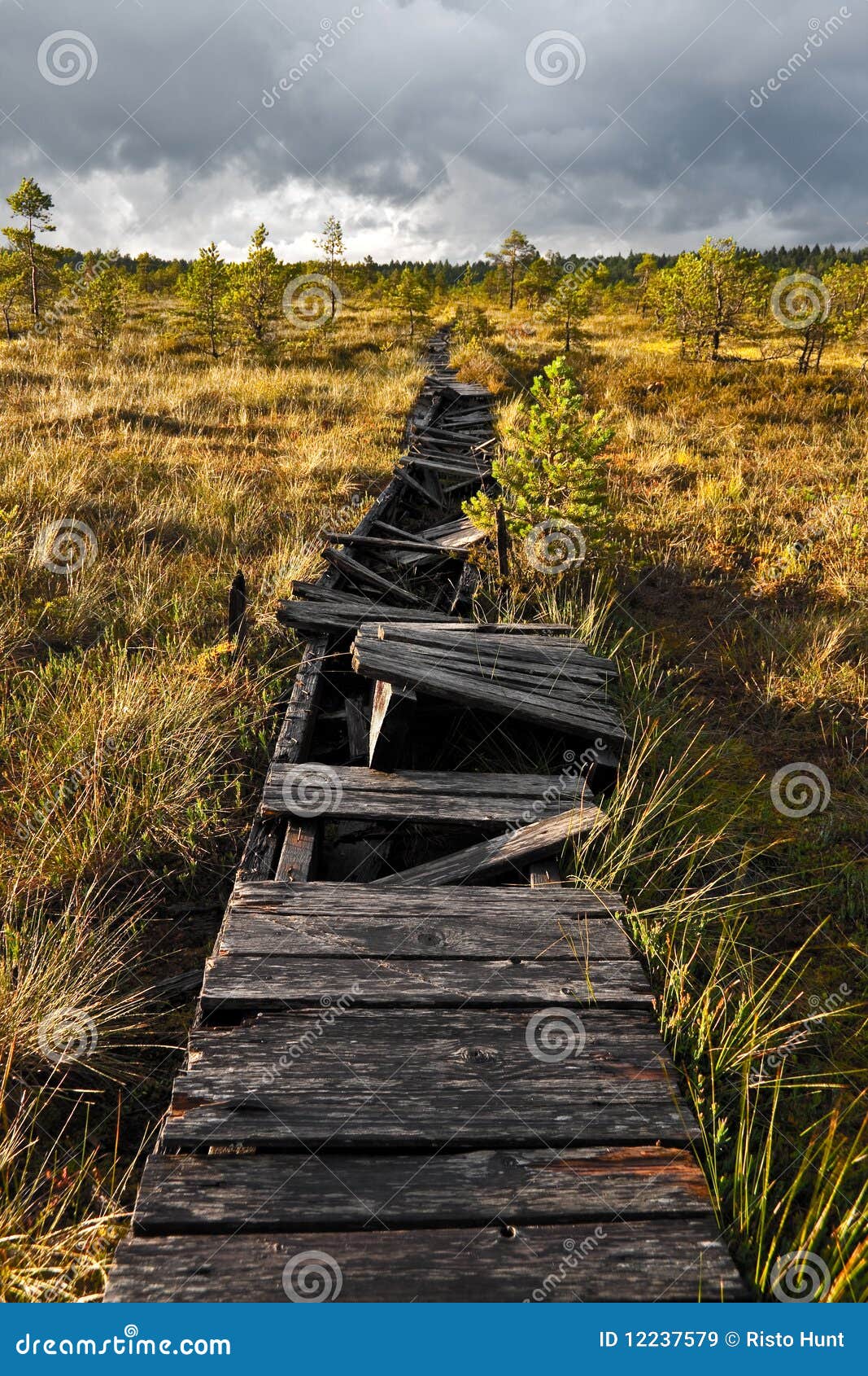 Broken Walkway in a Marsh in Estonia Stock Image - Image of dangerous ...