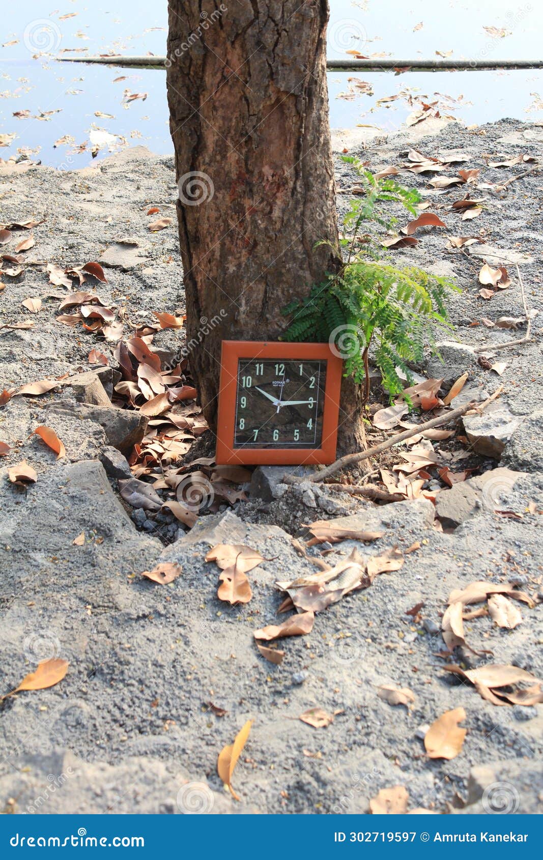 Royalty Free Images, Cartoons, Illustrations And Photos Designed By ...