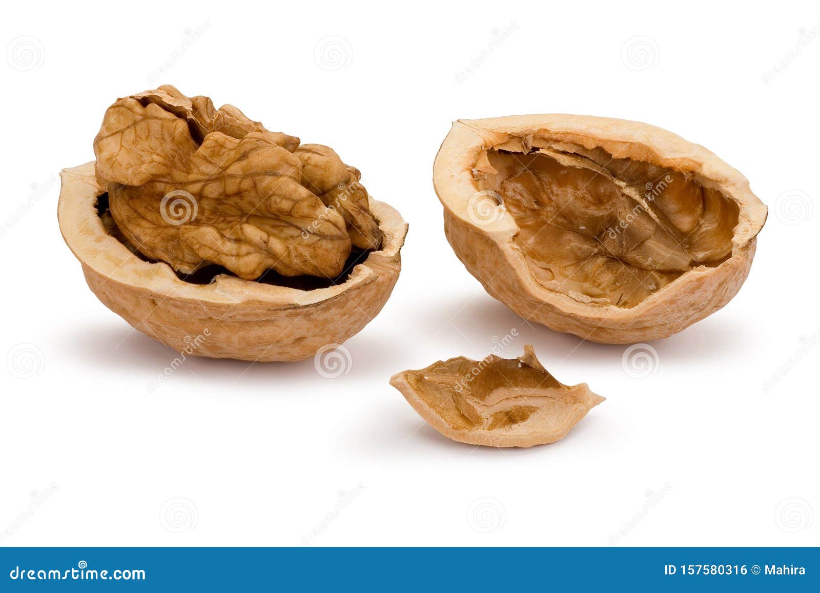 Broken Walnut Isolated on White Stock Photo - Image of hard, nutshell ...