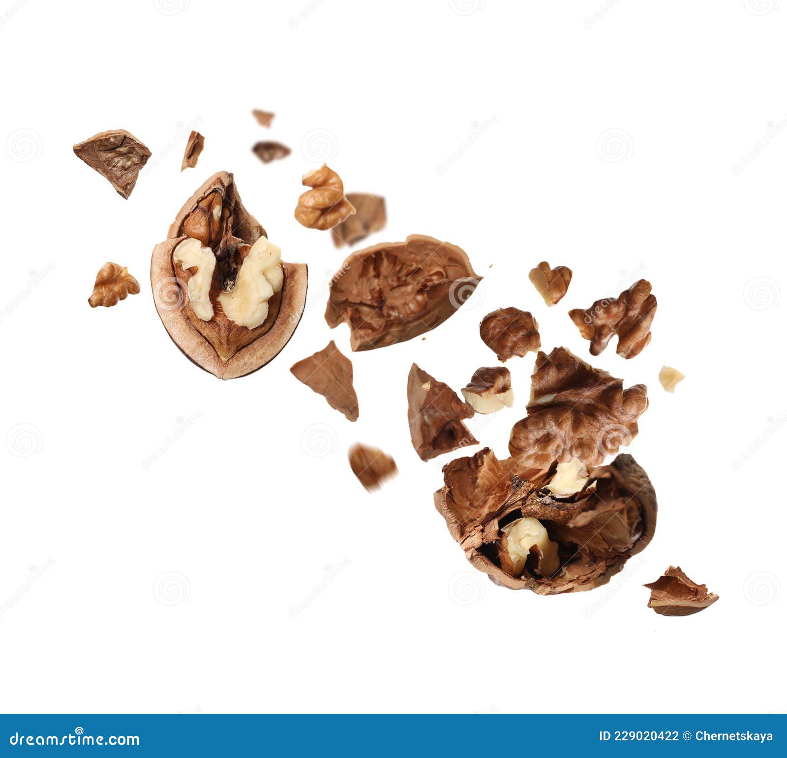 Broken Walnut and Pieces of Shell Flying on White Background Stock ...