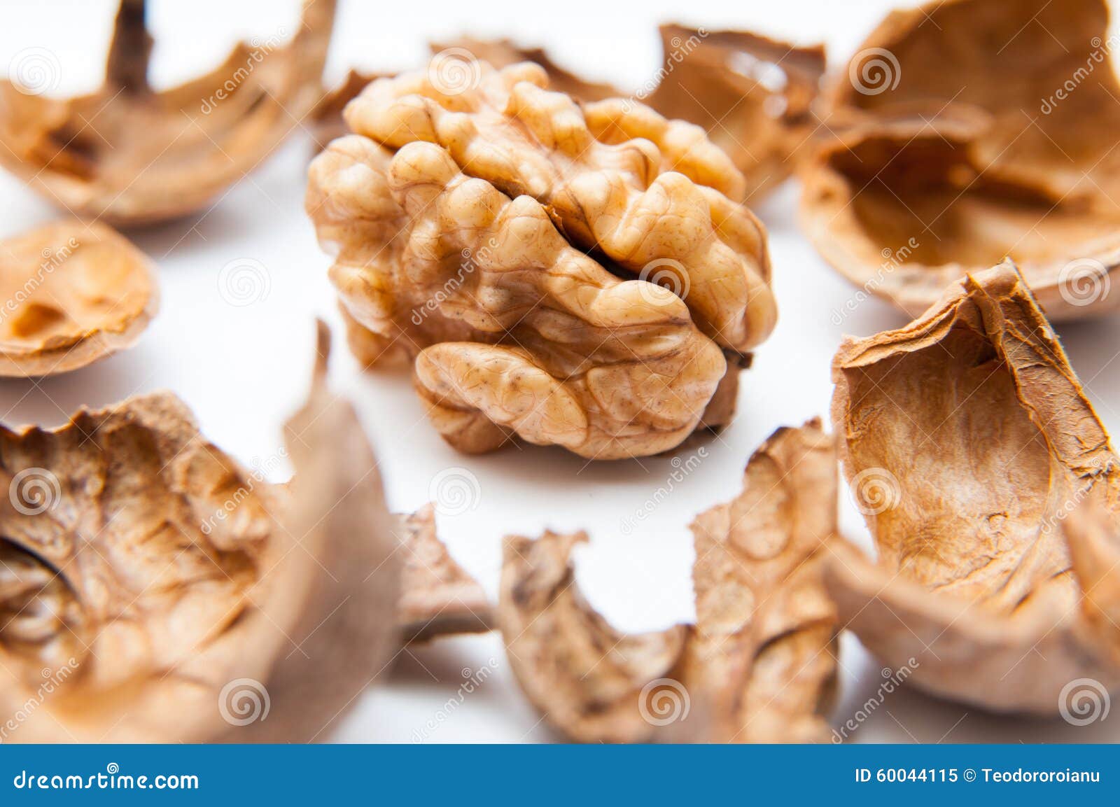 Broken walnut stock image. Image of lots, piece, white - 60044115