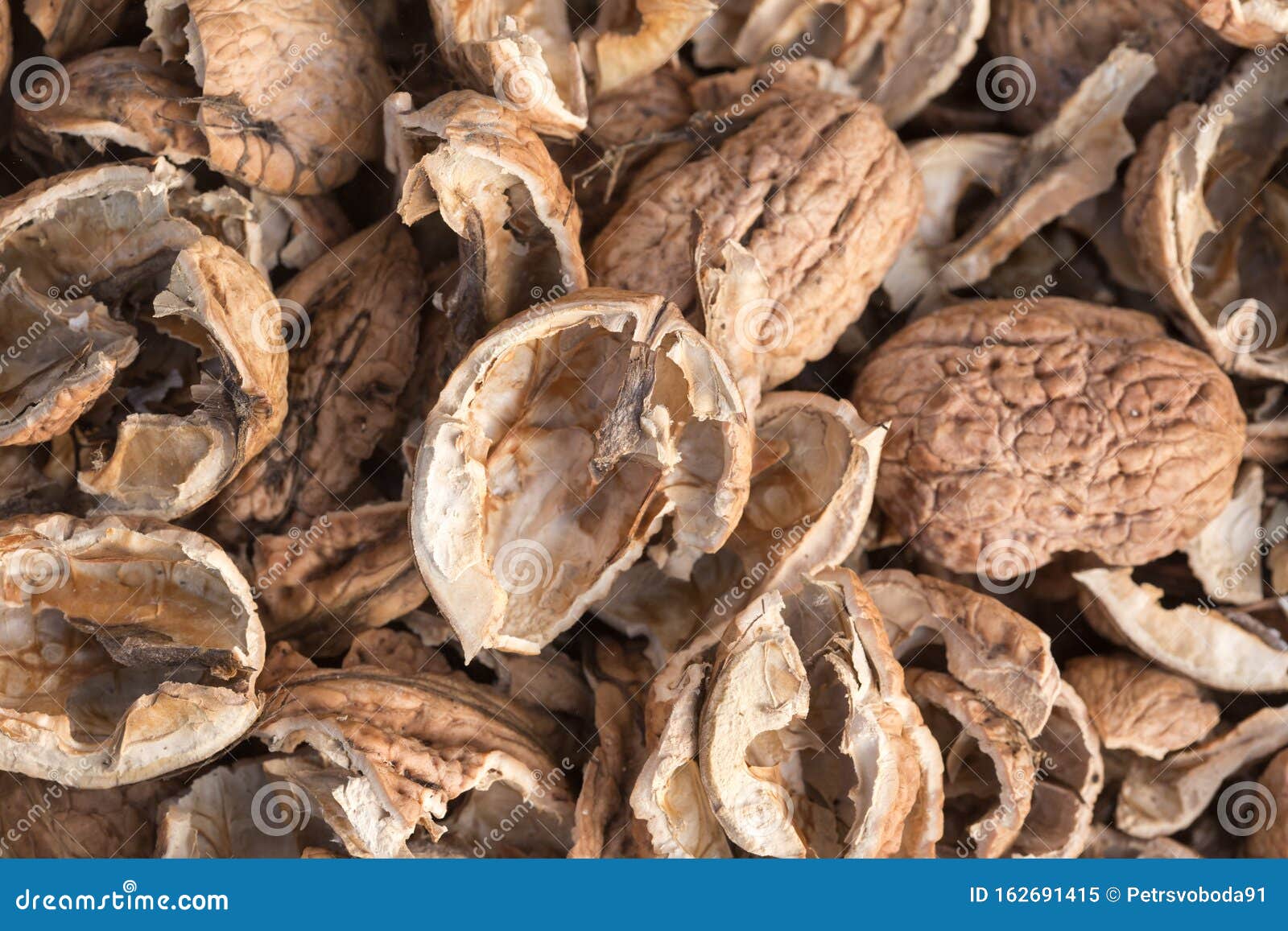 Broken Walnut Shells. Pieces of Nutshells. Nutshell Texture Stock Image ...