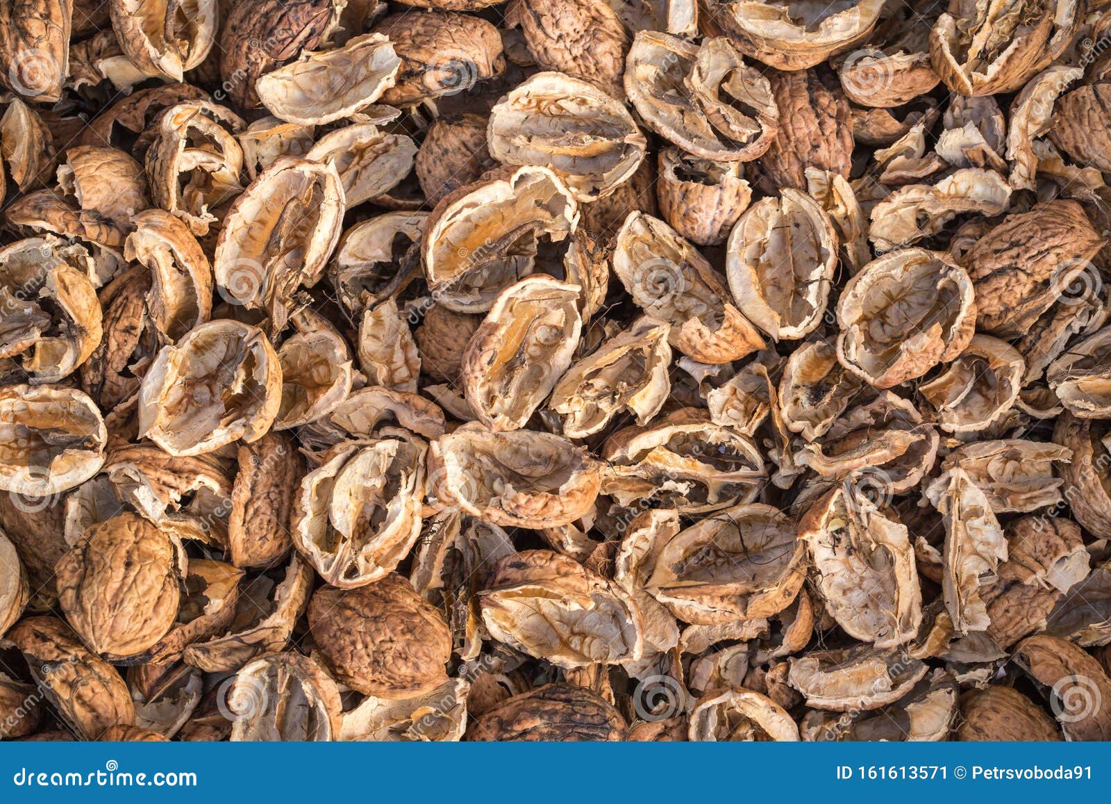 Broken Walnut Shells. Pieces of Nutshells. Nutshell Texture Stock Image ...