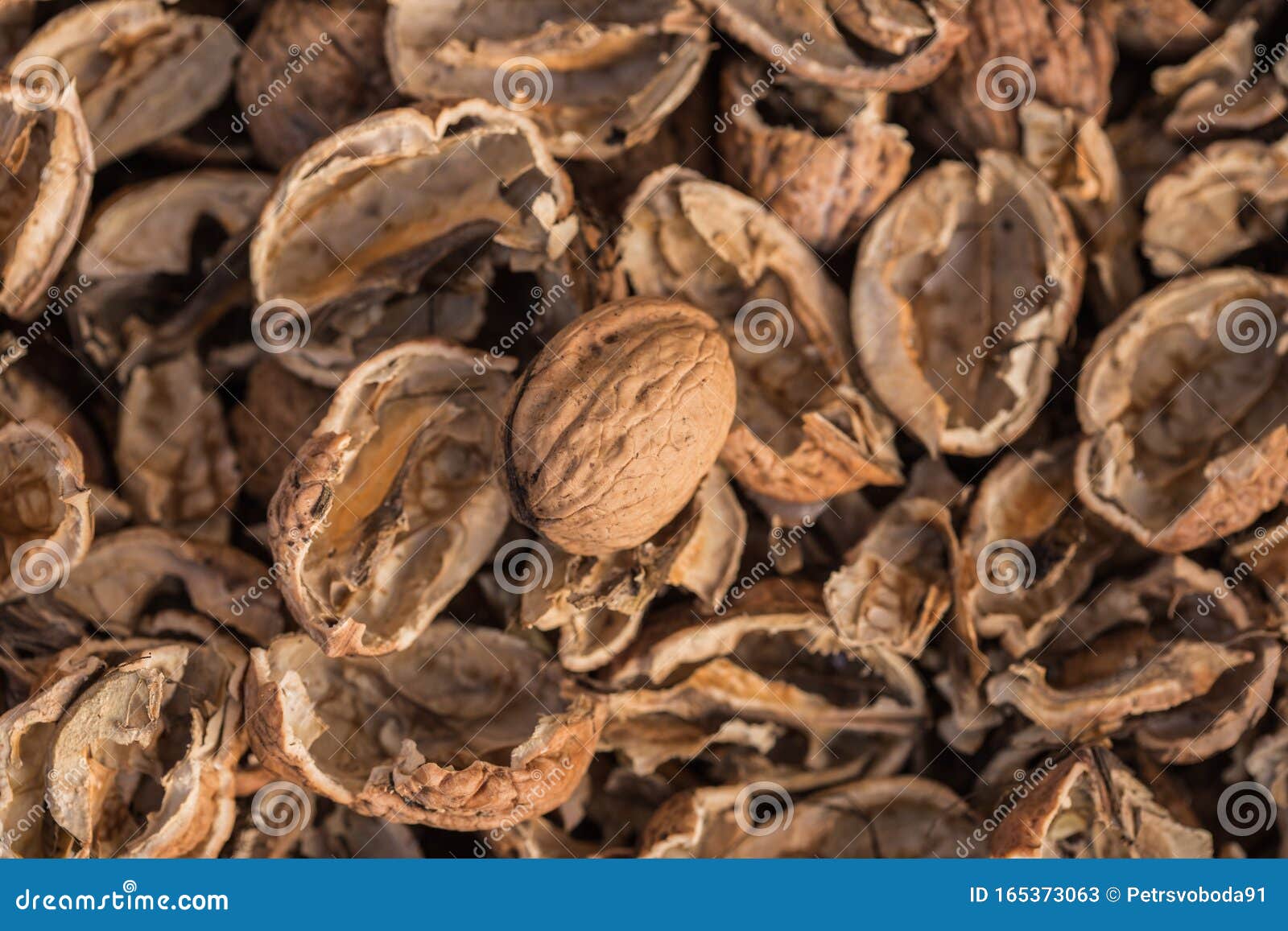 Cracked Walnut Shells with One Complete Walnut in the Middle. Pieces of ...
