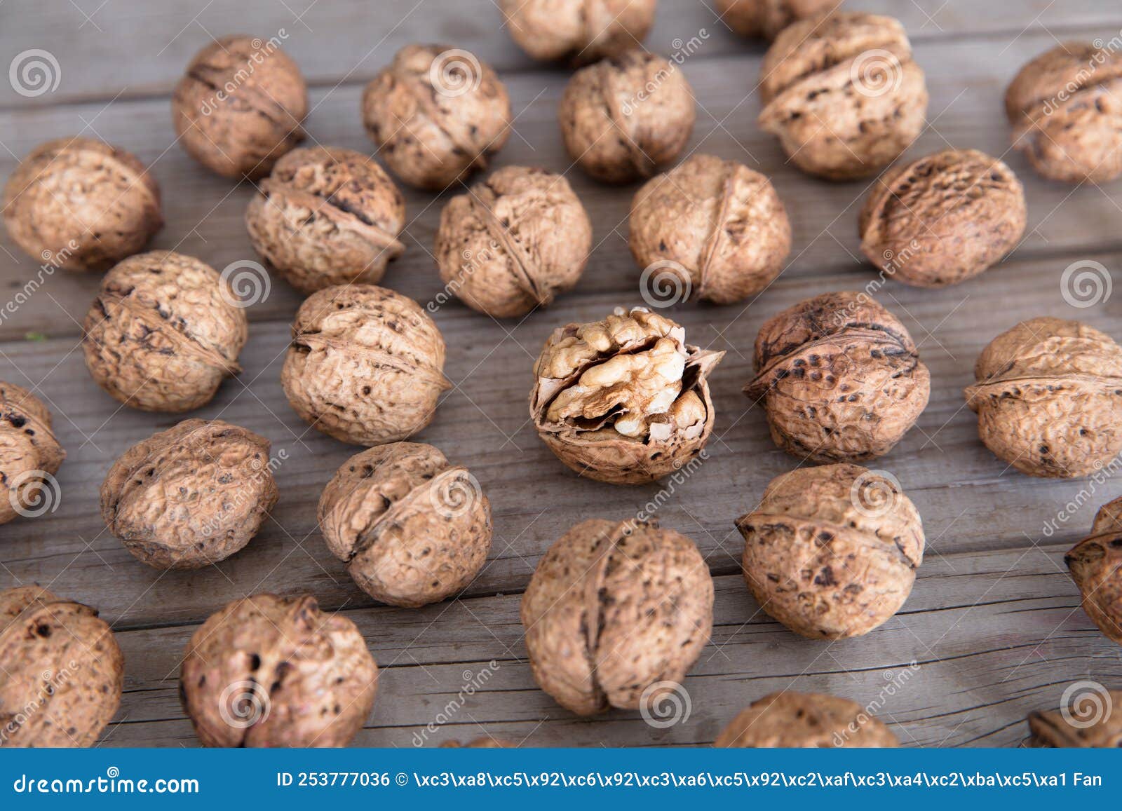 A Broken Walnut is Surrounded by a Bunch of Whole Walnuts Stock Photo ...