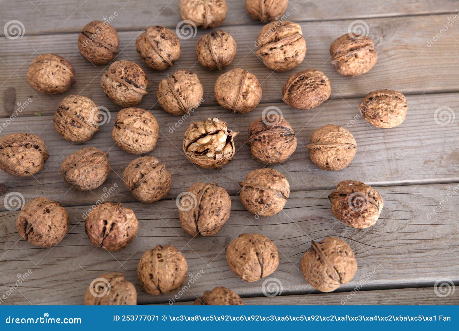 A Broken Walnut is Surrounded by a Bunch of Whole Walnuts Stock Image ...