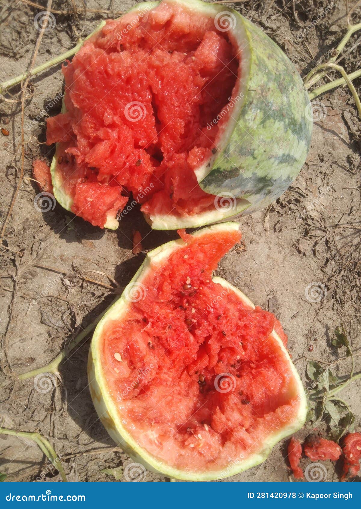 Broken watermelon stock photo. Image of watermelon, vitamin - 281420978
