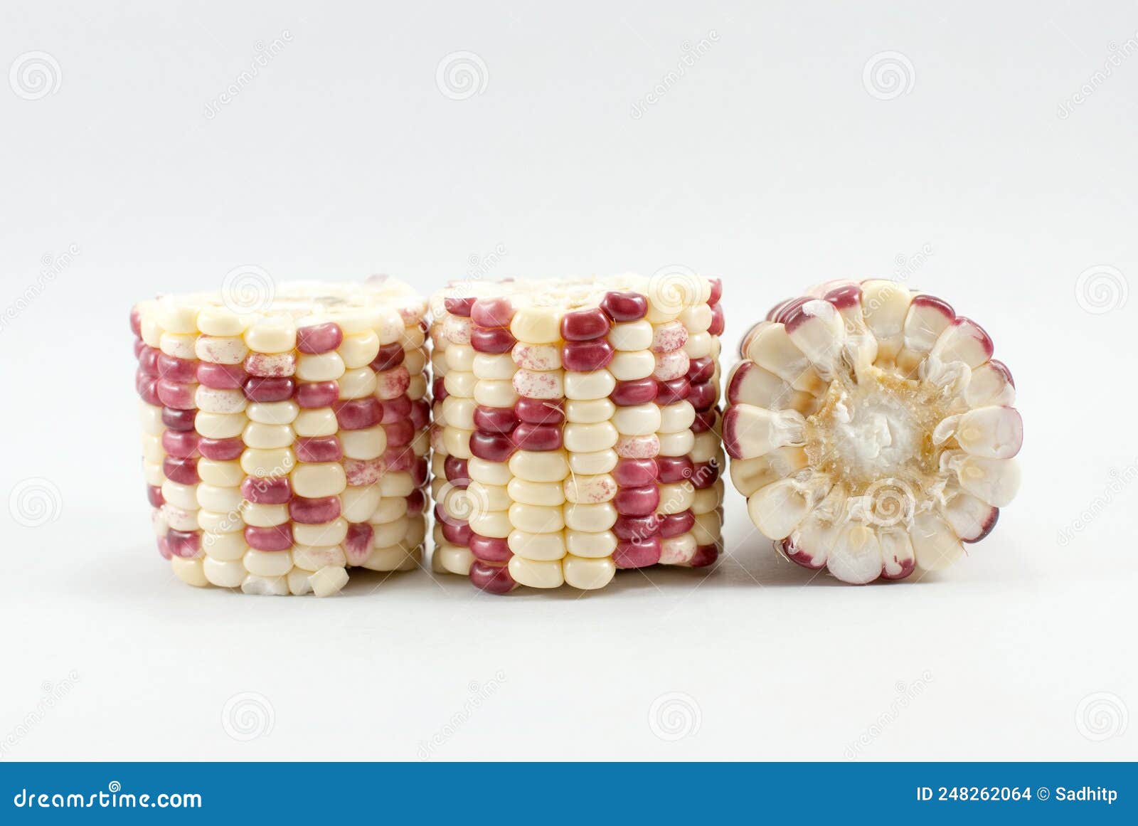 Broken Waxy Corn on a White Floor Stock Photo - Image of delicious ...