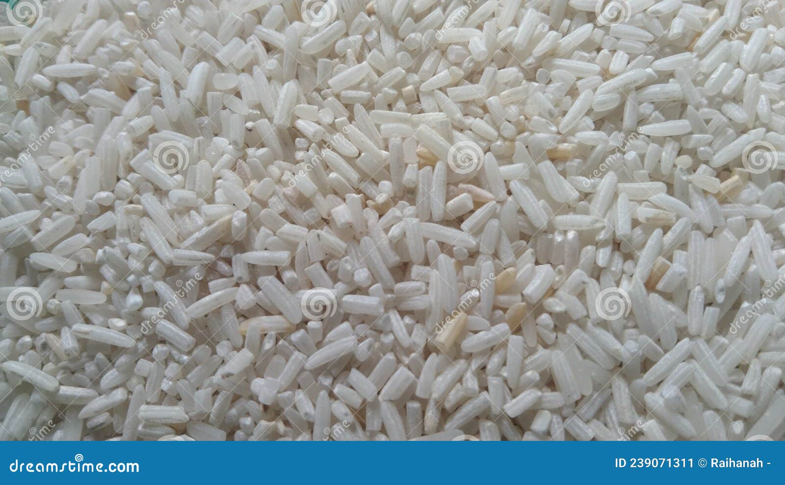 The Broken White Rice, Broken and Crushed Rice Stock Image - Image of ...