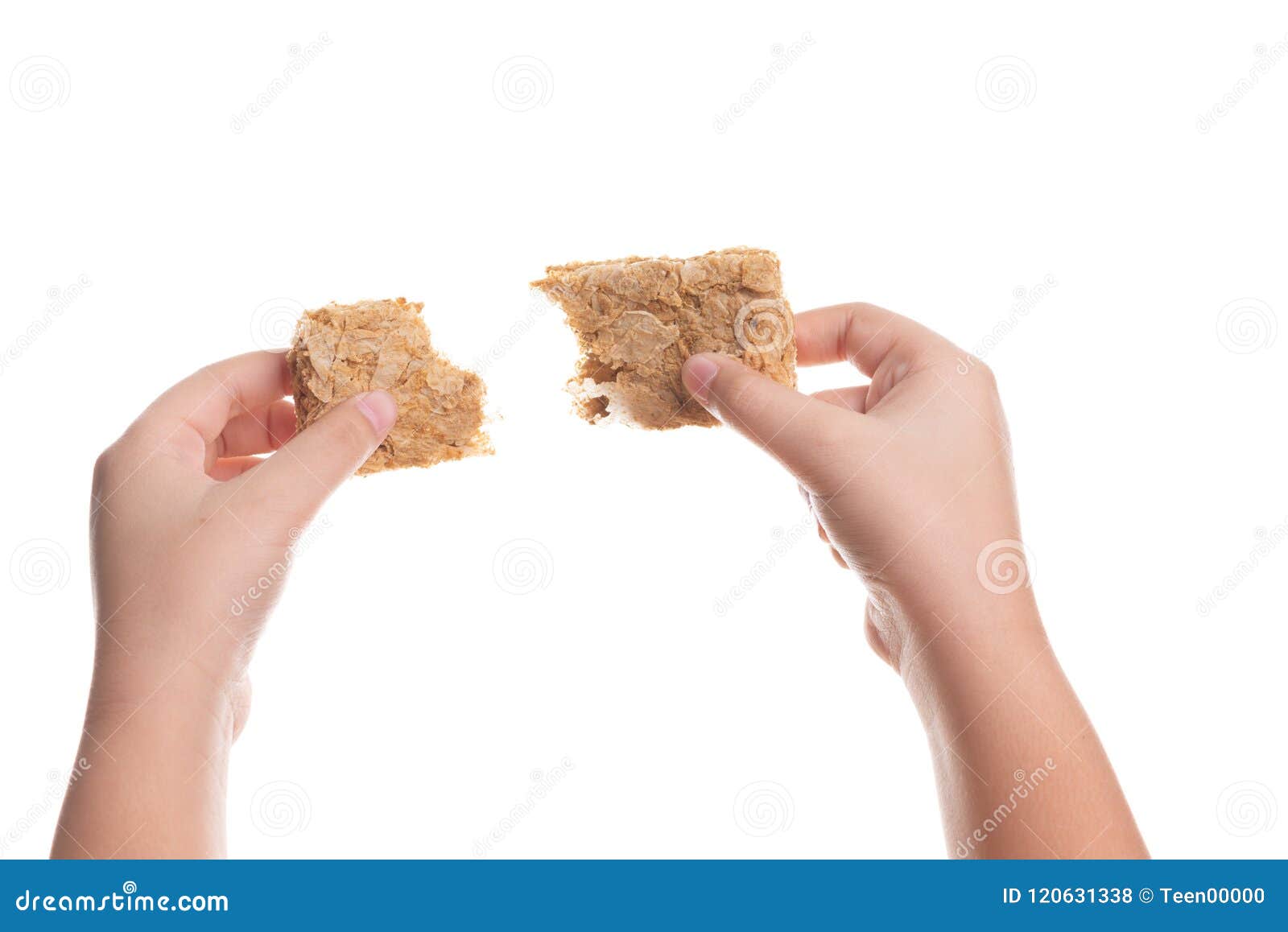 Broken Whole Grain Wheat Biscuits Breakfast Cereal In Hand Stock Photo ...