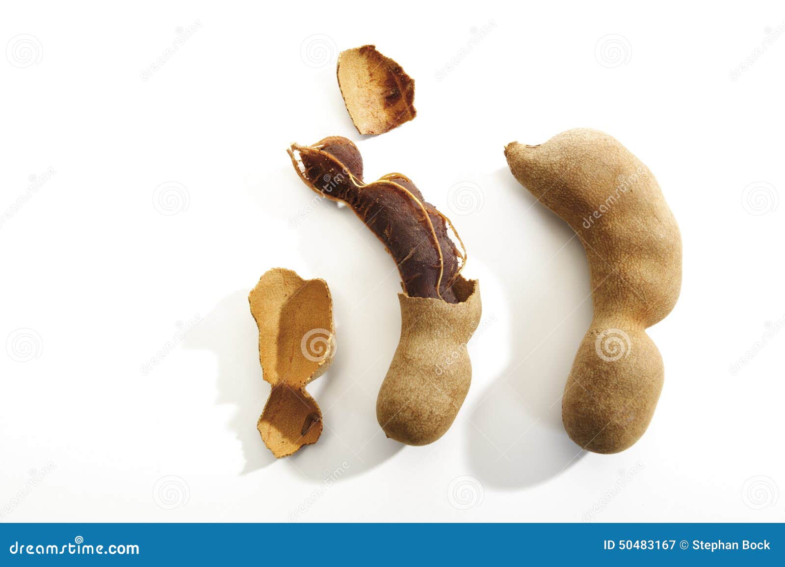 Whole Tamarind Seeds Royalty-Free Stock Photography | CartoonDealer.com ...