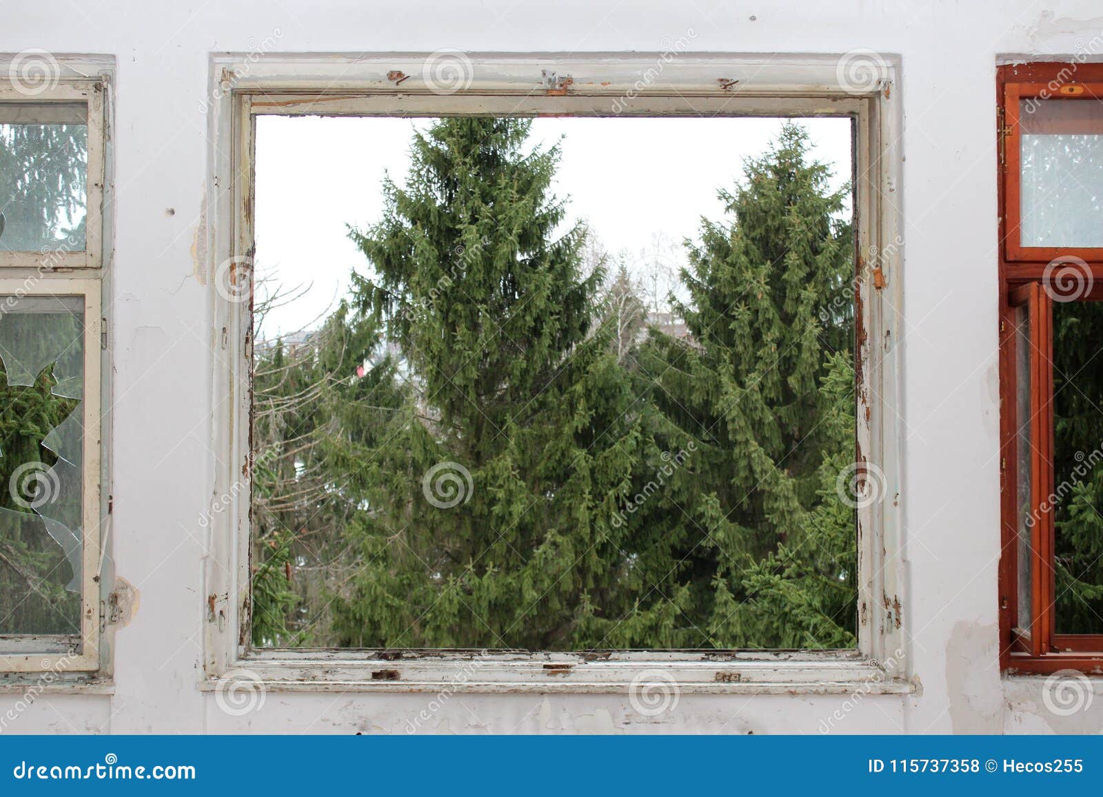 Broken Window Frame with Missing Glass and Pine Trees in Background ...