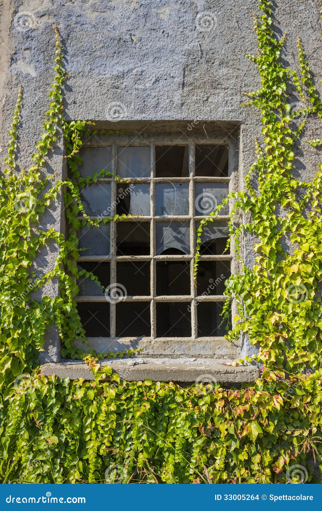 Broken window with vines stock photo. Image of stone - 33005264