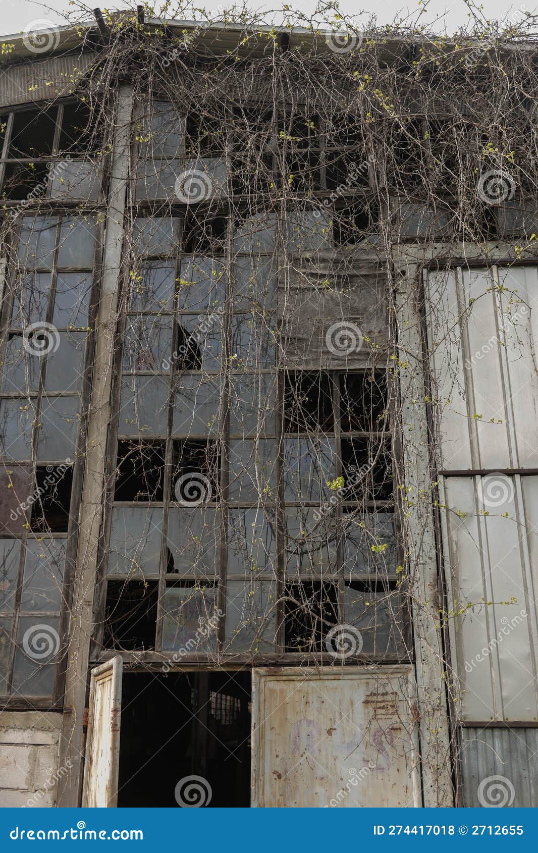 Broken Windows and Rusty Doors, Abandoned Industrial Warehouse in the ...