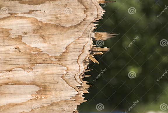 Broken Wood stock image. Image of wooden, splinter, grain - 23571599