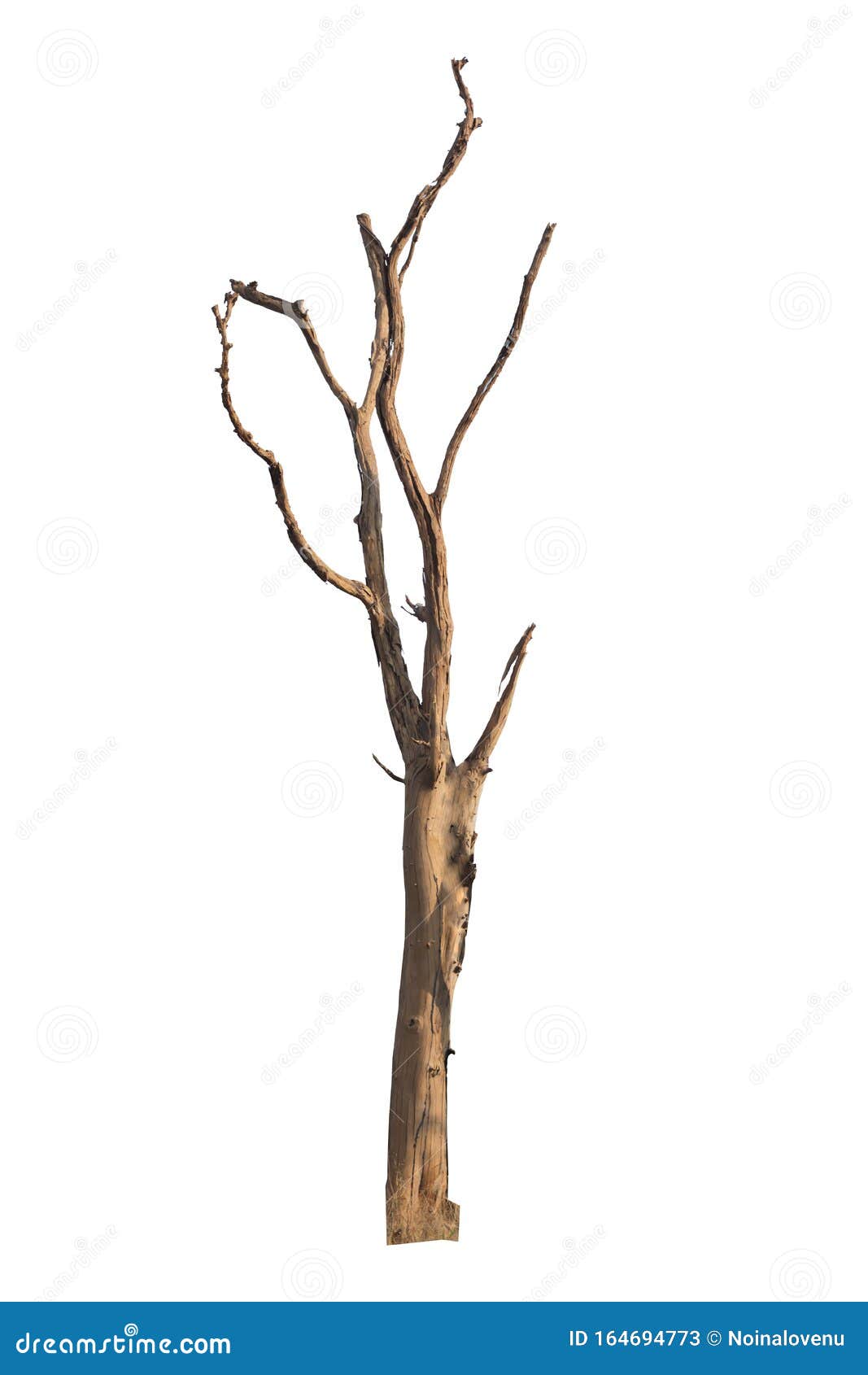 Broken wood texture stock image. Image of background - 164694773