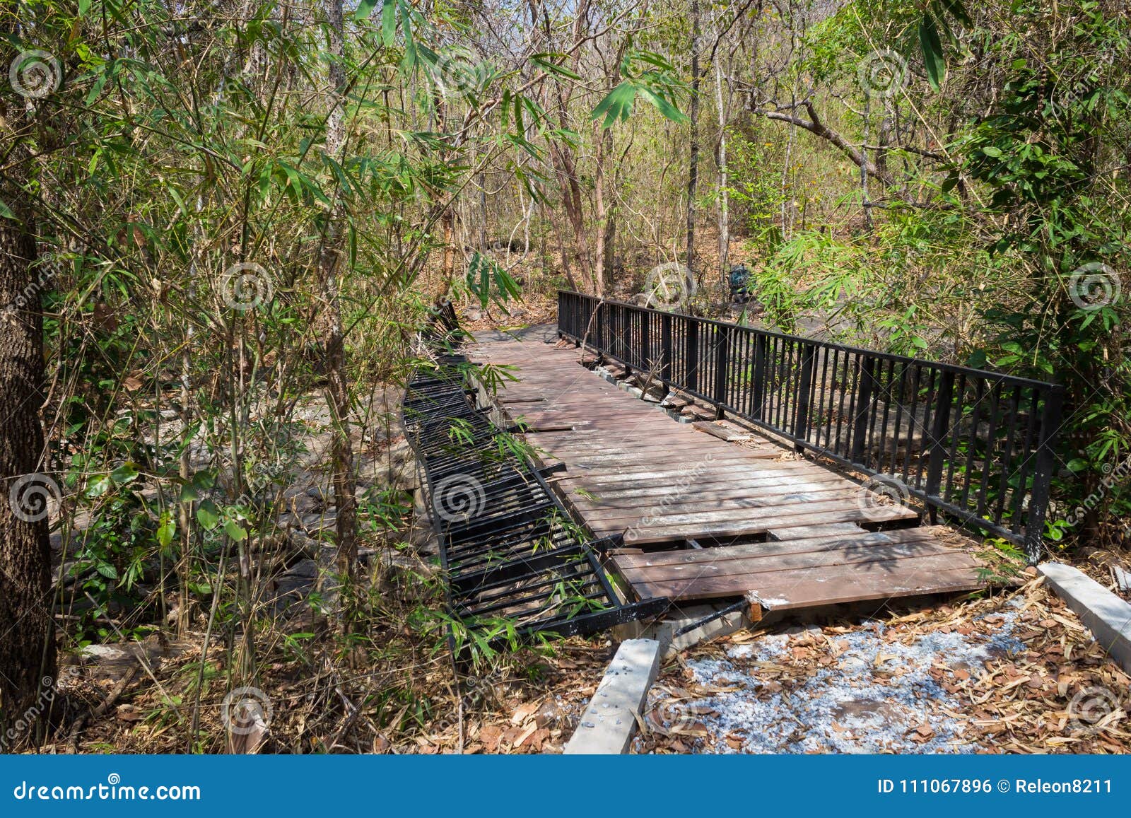 Broken wooden bridge stock photo. Image of natural, walkway - 111067896