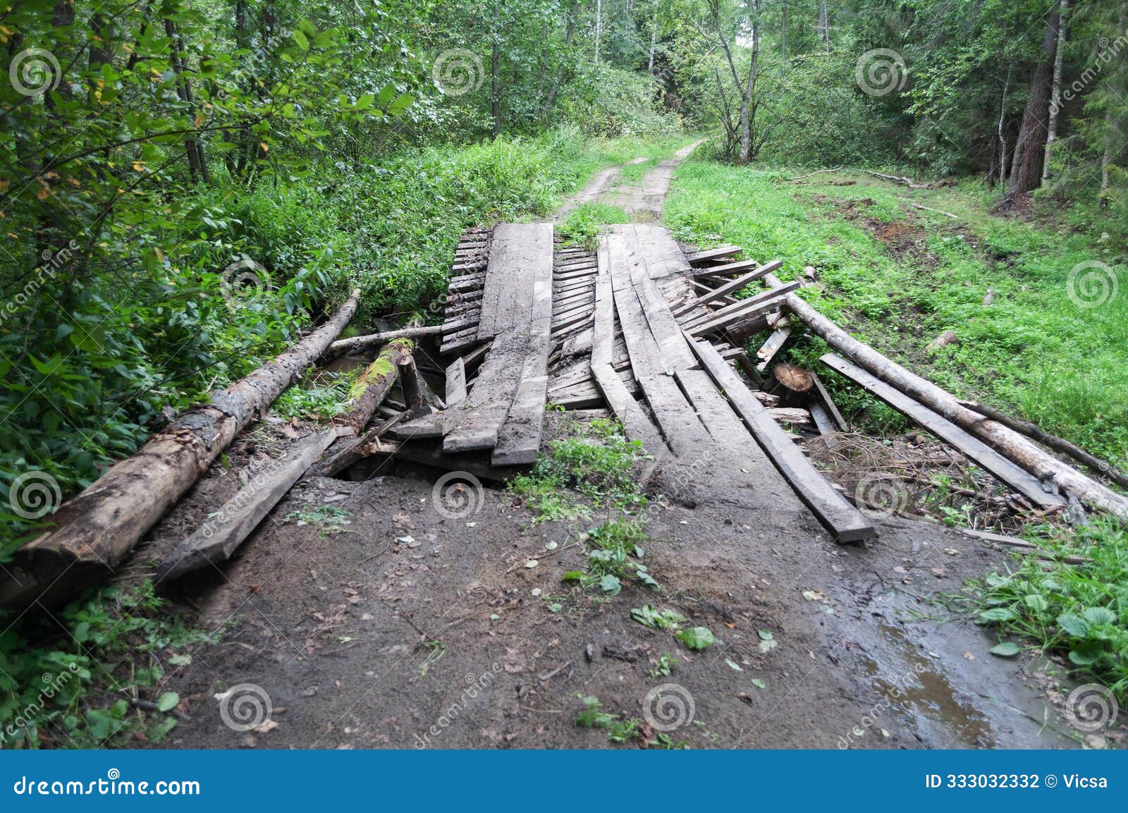 Broken Wooden Bridge in Forest Stock Photo - Image of dirt, green ...