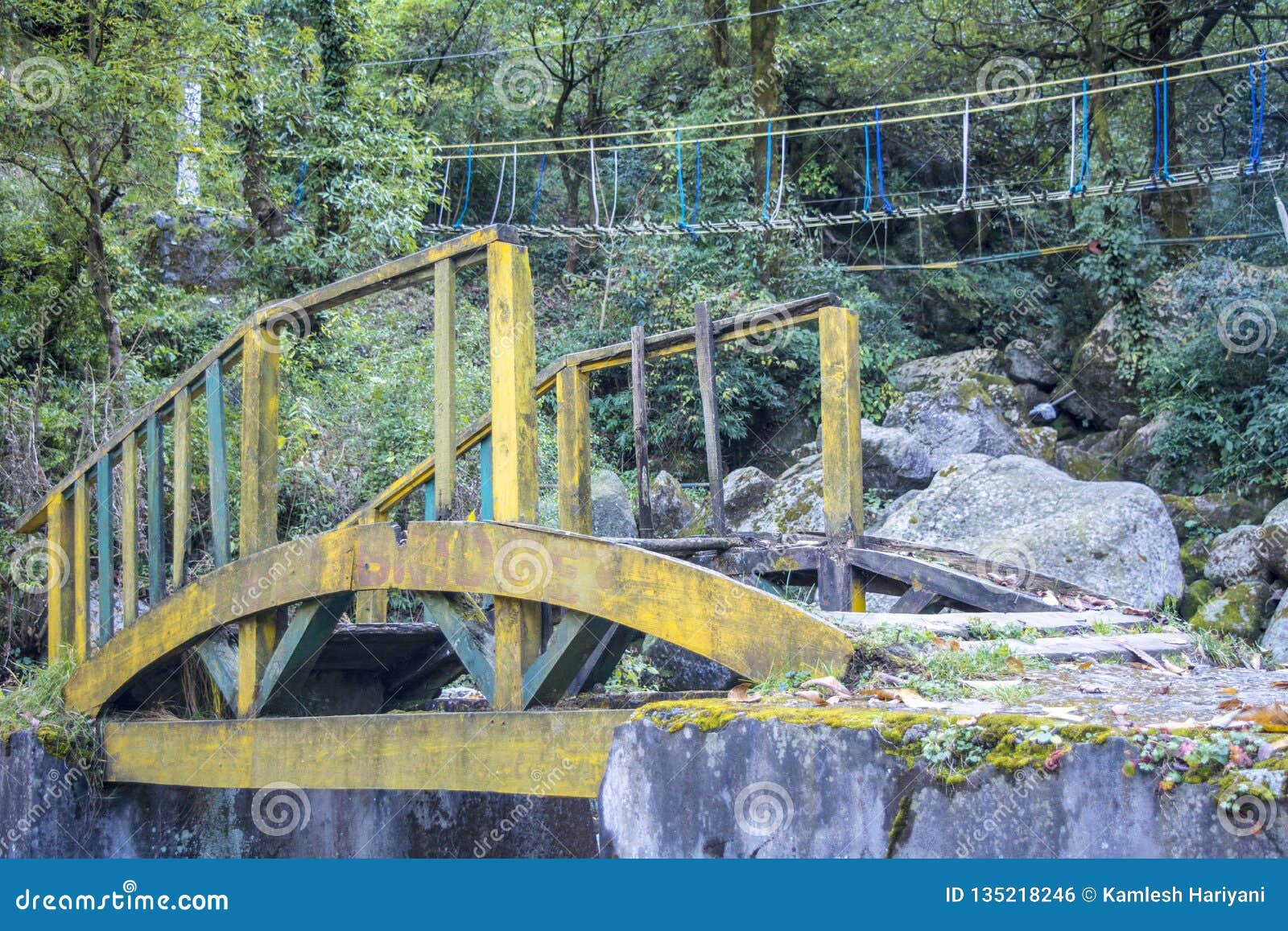 Broken Wooden Bridge in the Jungle with Zip Line in Background Stock ...