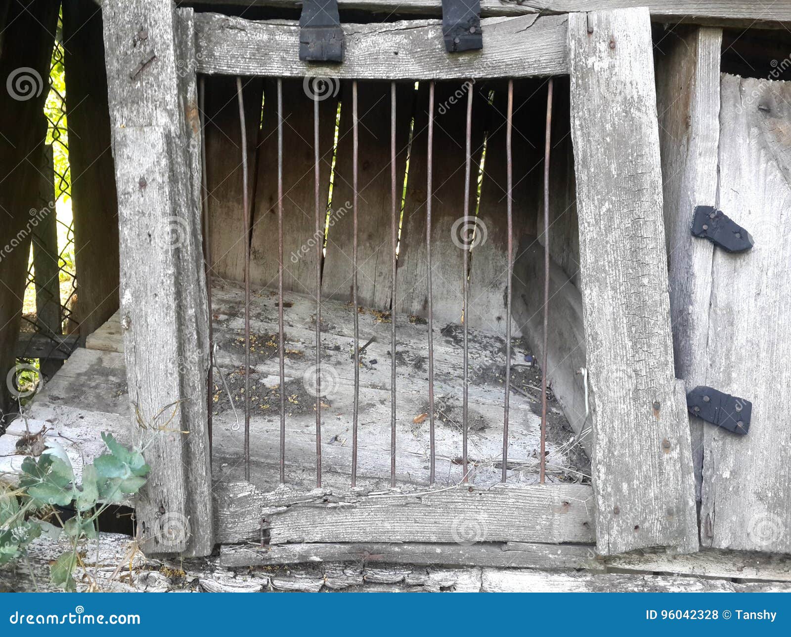 Broken. Wooden Cage with a Lattice Stock Photo - Image of enclosure ...