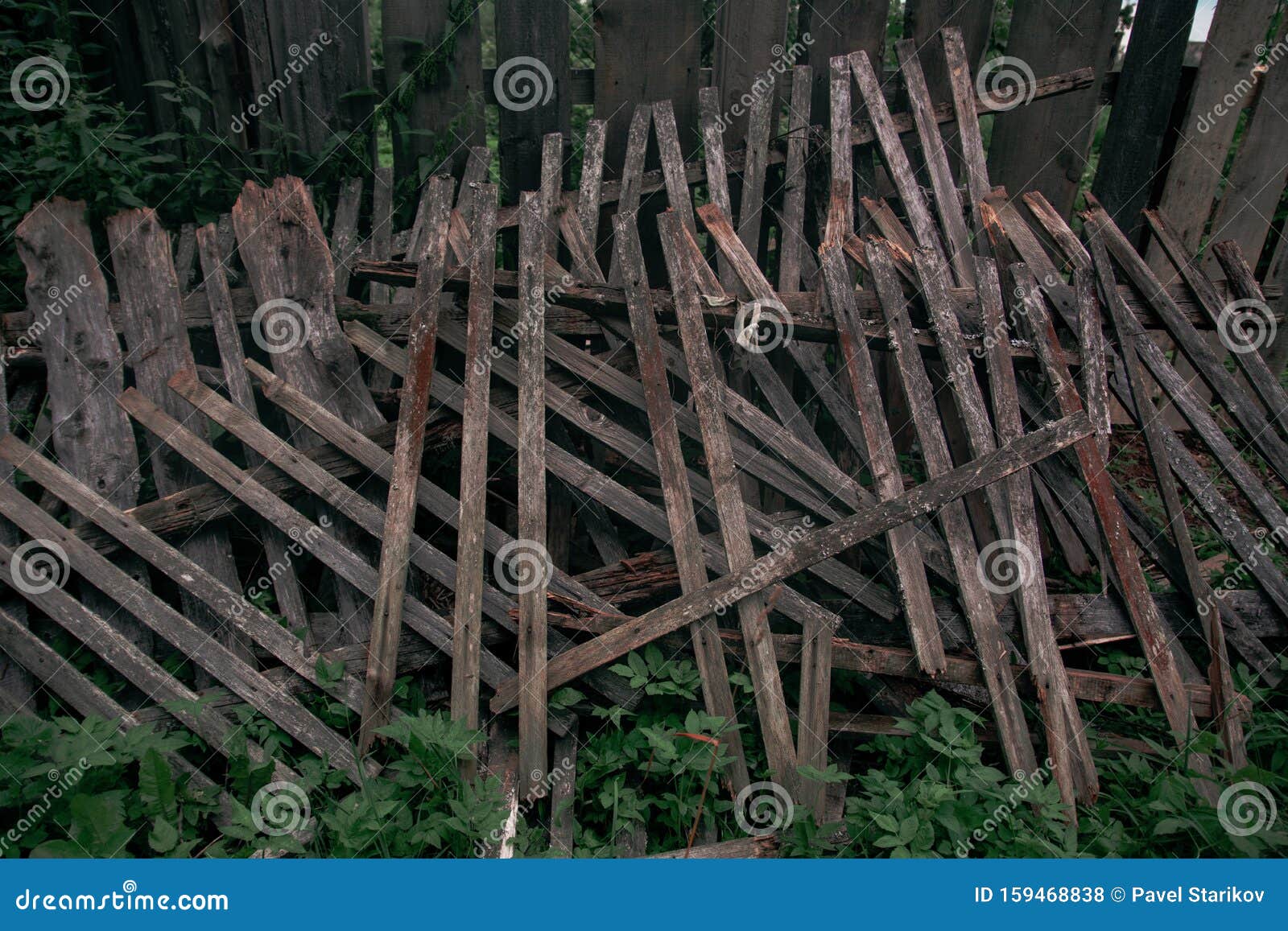 Broken wooden fence stock photo. Image of grungy, green - 159468838