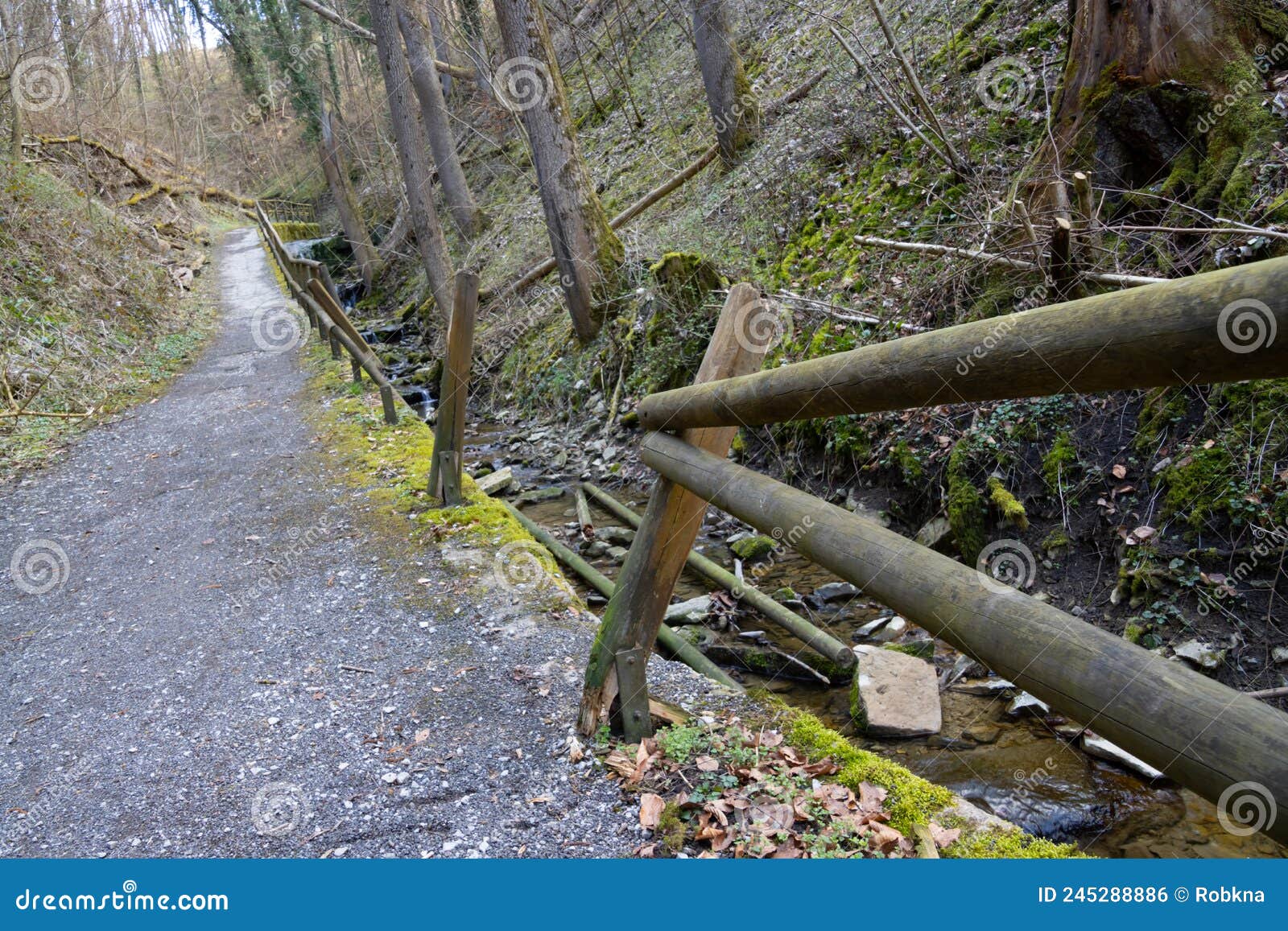 Broken Pathway Stock Photography | CartoonDealer.com #100347164