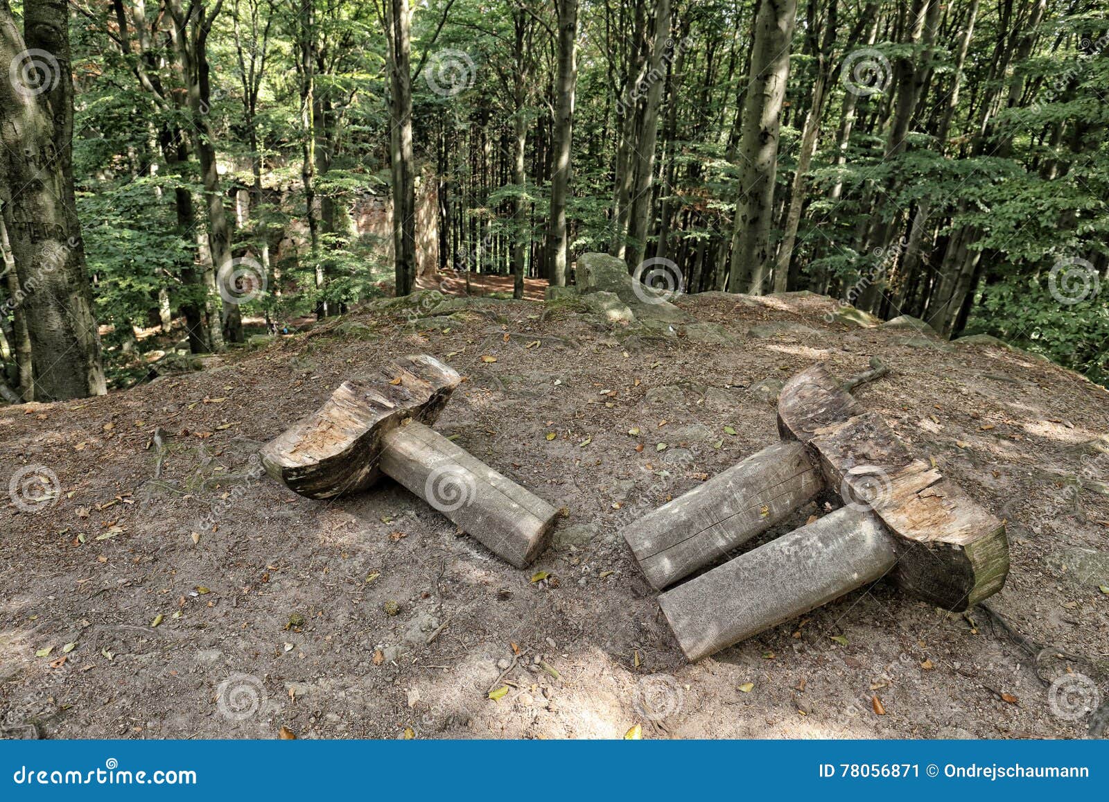 Broken Wooden Table in the Forest Stock Image - Image of middle, tree ...