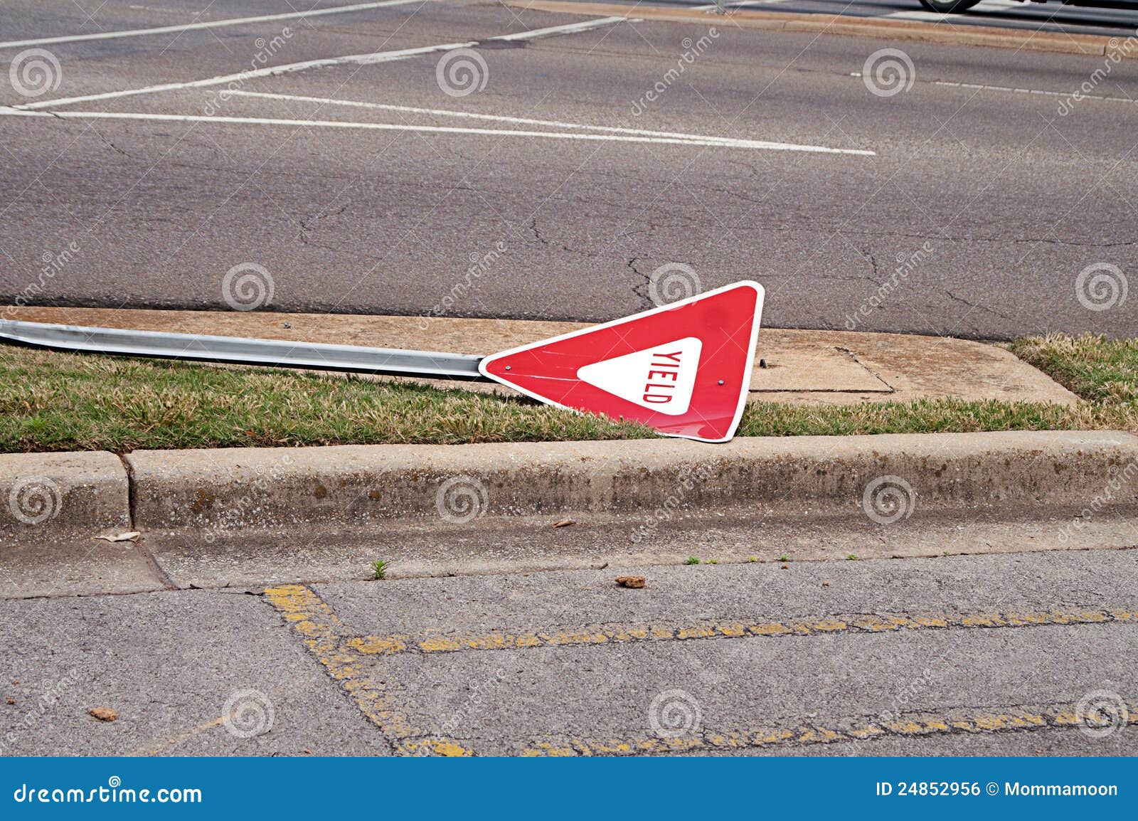 Yield Sign On A Background An Old Tree. Stock Photo | CartoonDealer.com ...