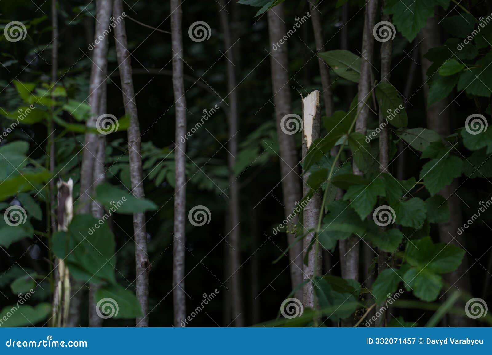Broken, We Can Fix It. Young Repairman, Worker In Uniform Sitting On ...