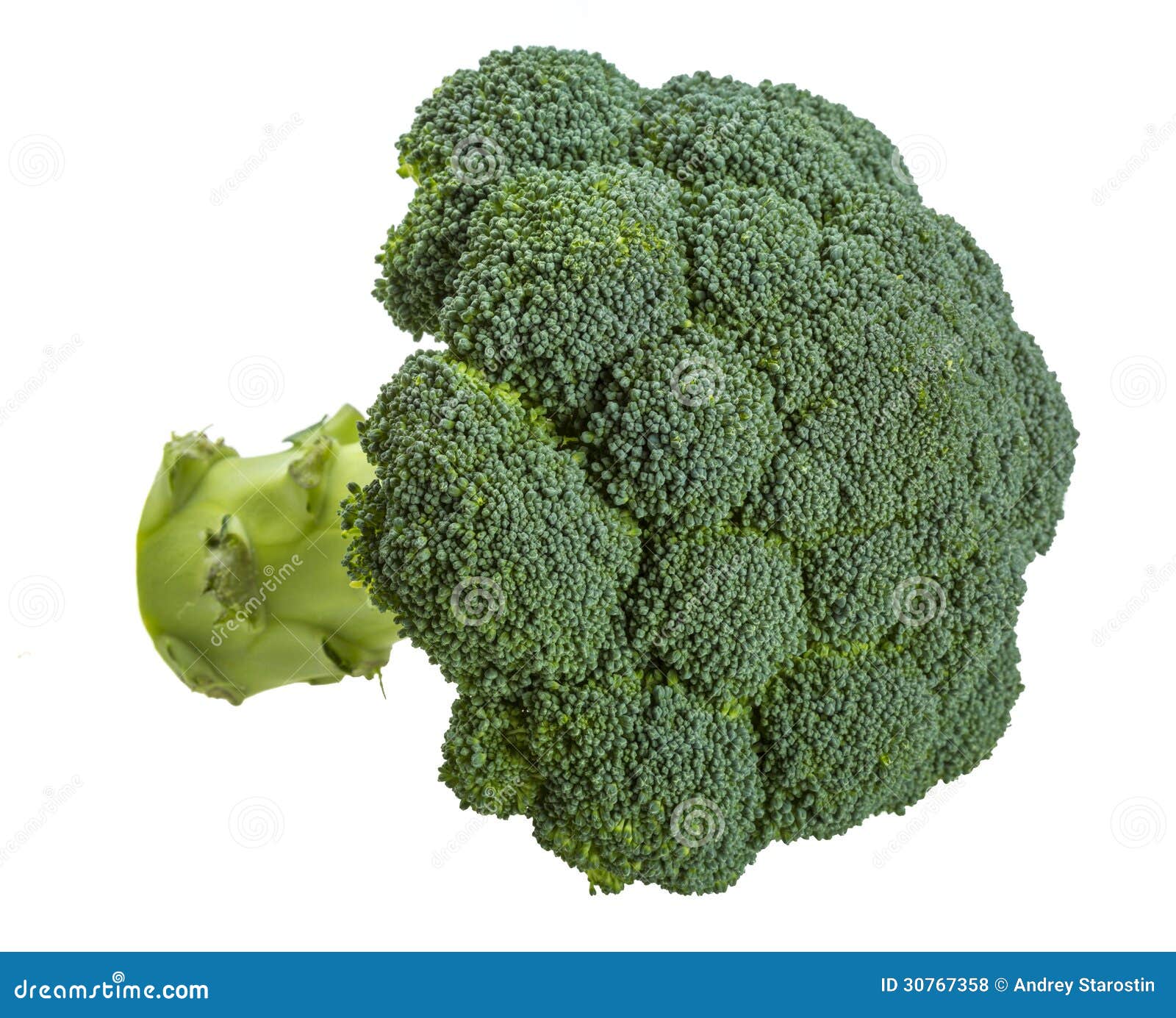 Brokoli stockfoto. Bild von stamm, feinschmecker, diät - 30767358
