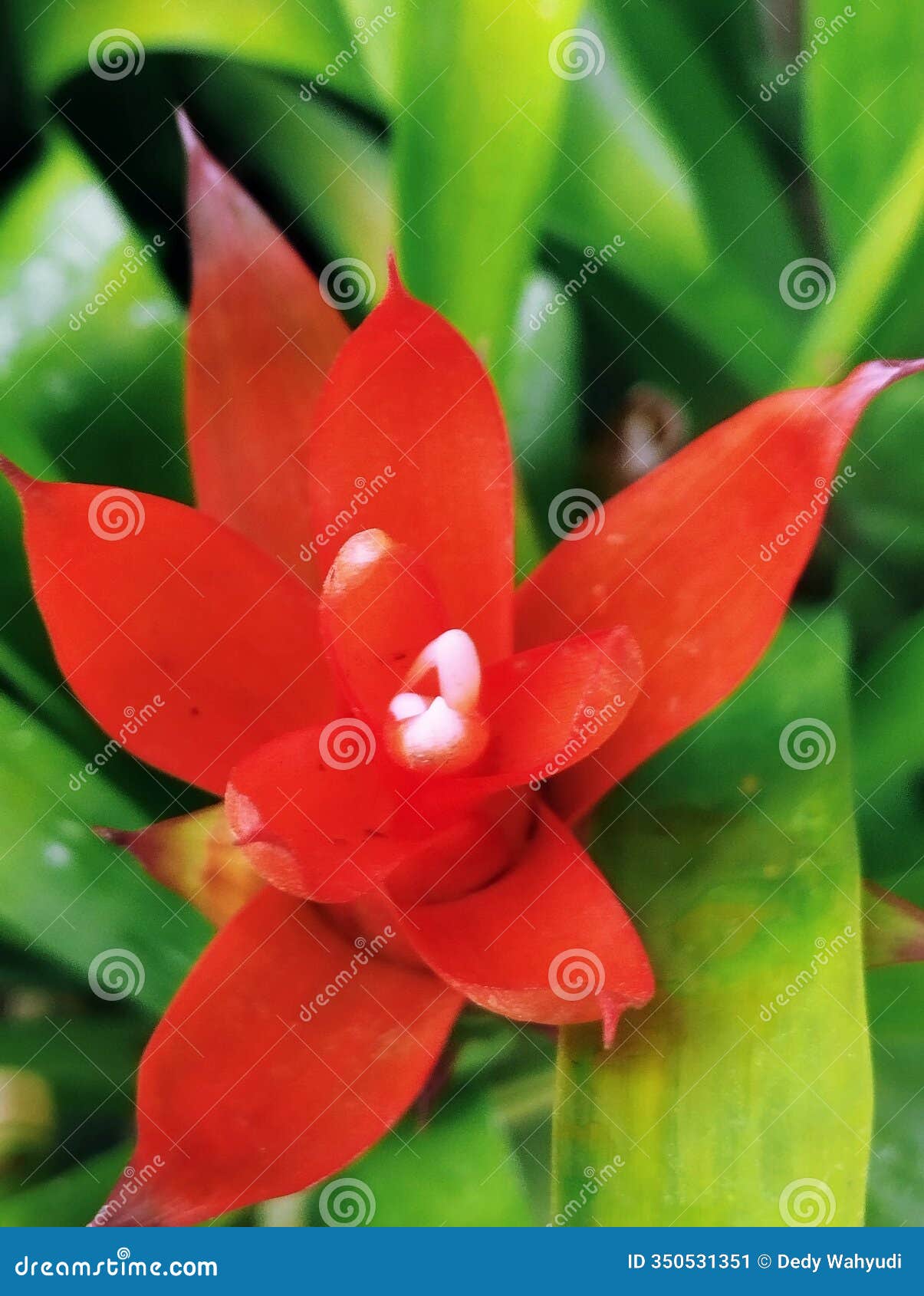 Many Types Of Mythical Beasts On The Ridges Of Ancient Chinese ...