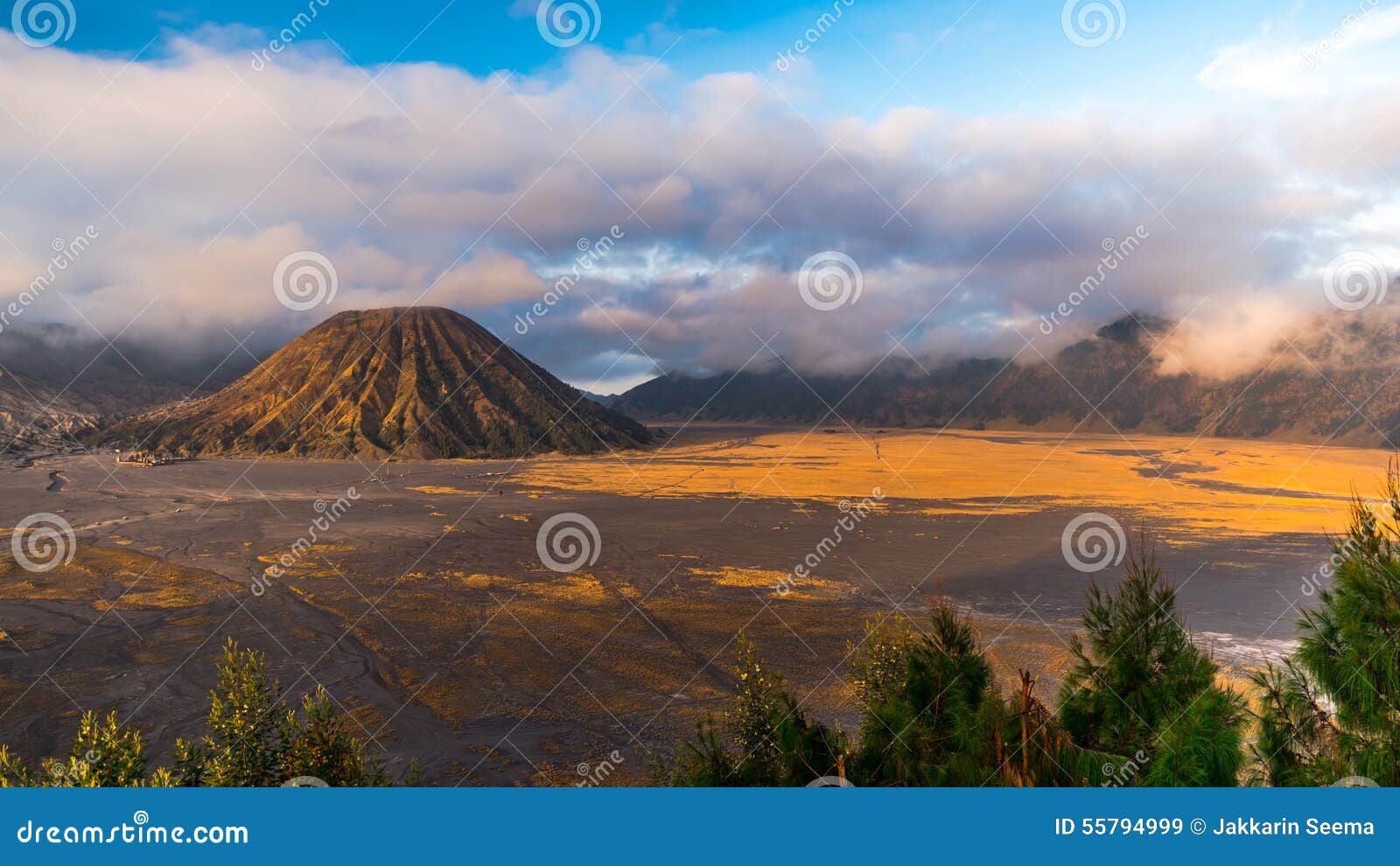 Bromo volcano stock image. Image of field, meadows, road - 55794999