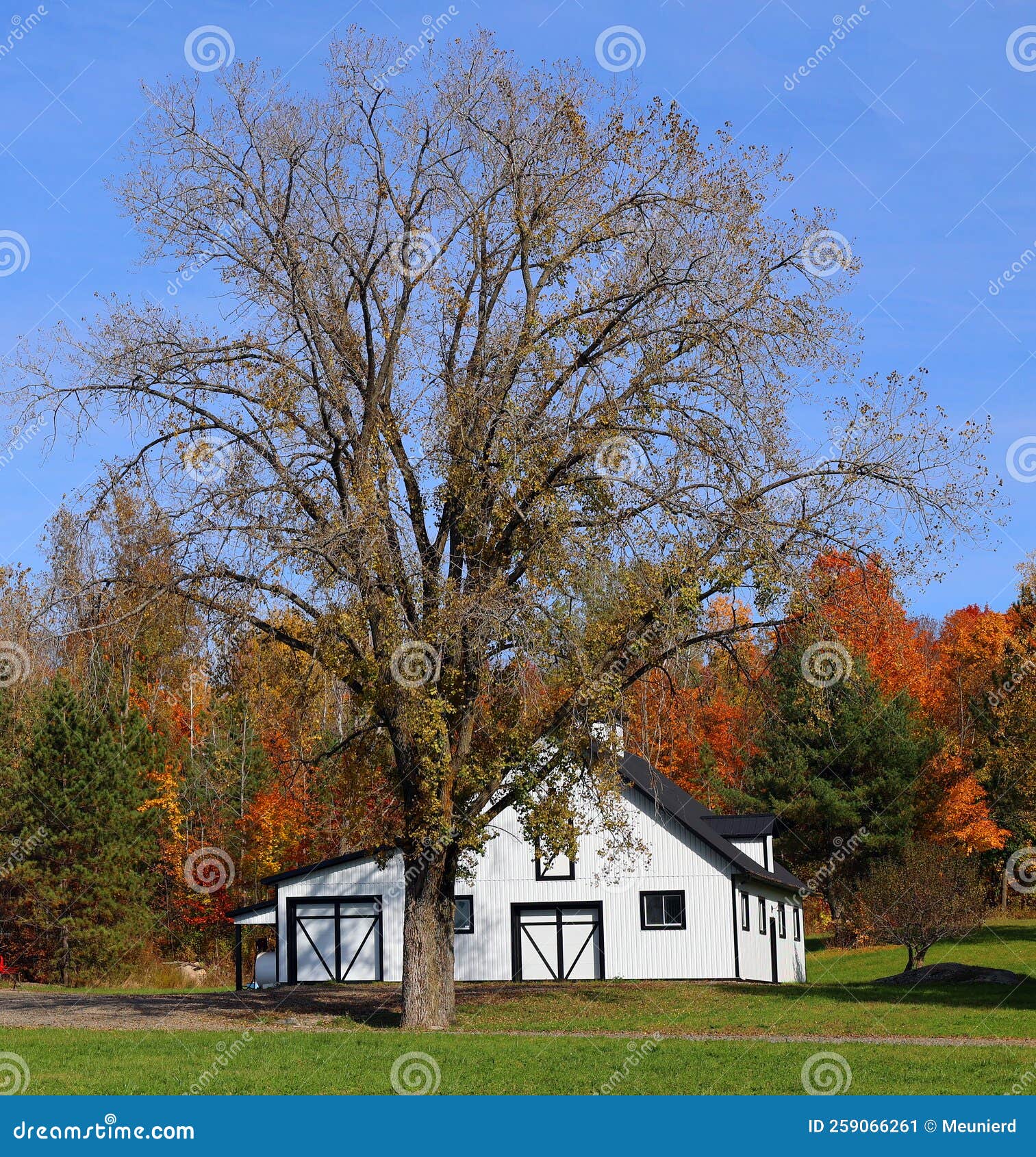 Old Barn in Fall Landscape Eastern Township Bromont, Editorial Photo ...