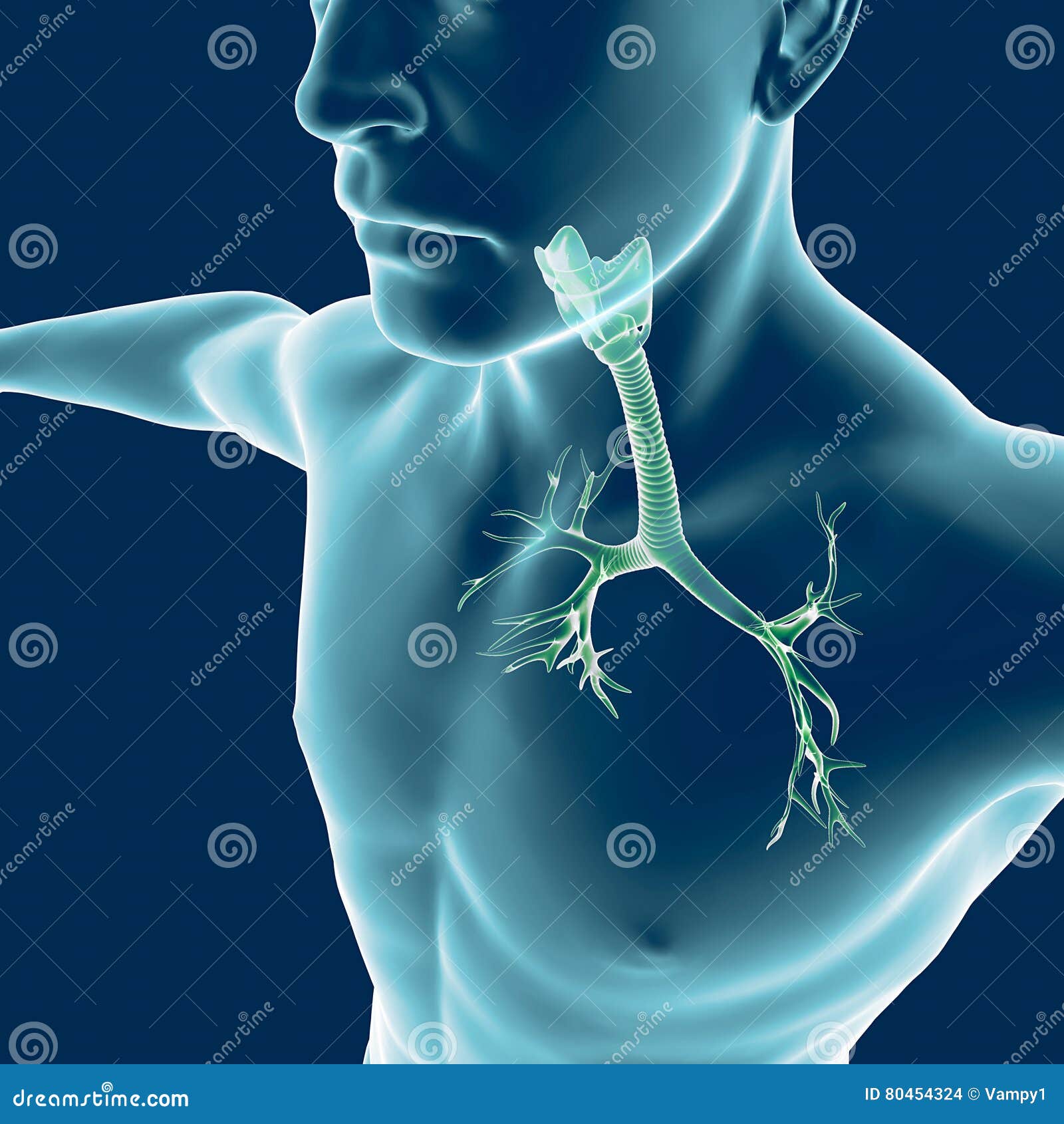 Lungs Inflammation Line Icon. Coronavirus Threat Attacks And Destroys ...