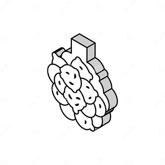 Bronchiectasis Lungs Disease Isometric Icon Vector Illustration Stock ...