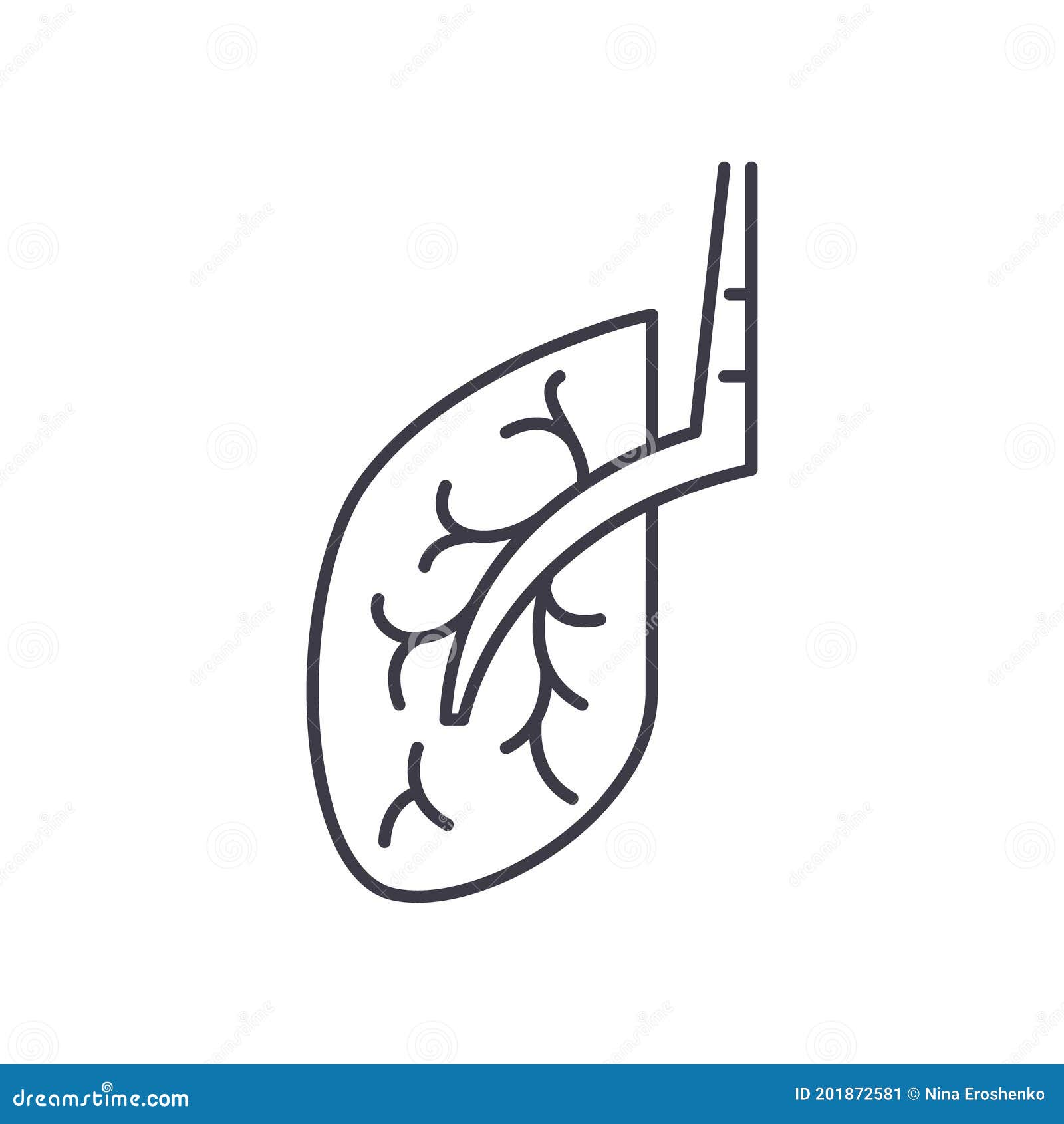 Bronchus Icon Vector From Human Organ Collection. Thin Line Bronchus ...