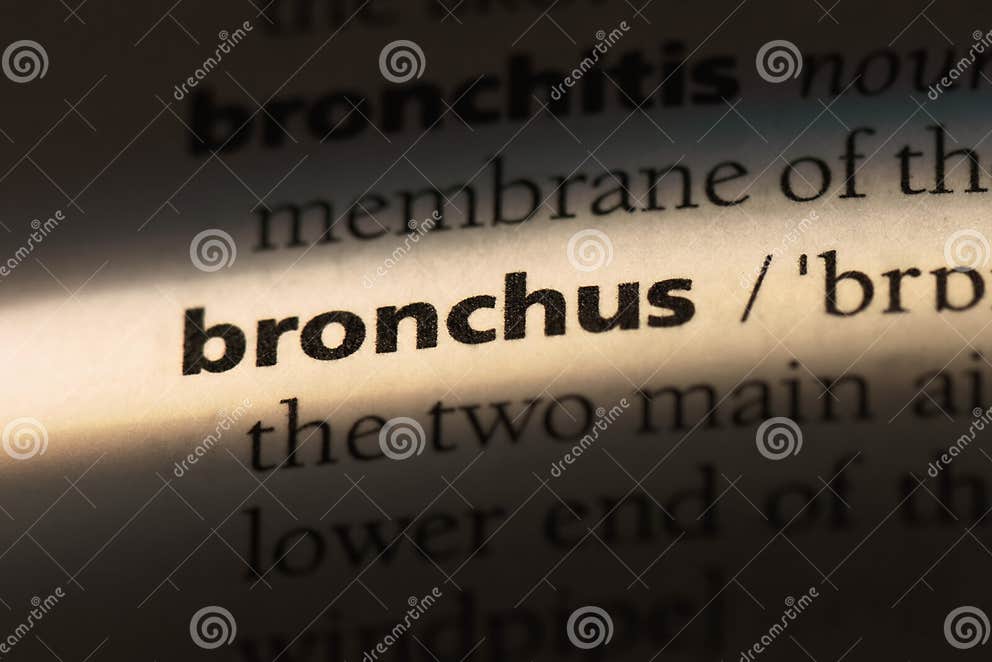 Bronchus stock photo. Image of page, concept, text, info - 114411514
