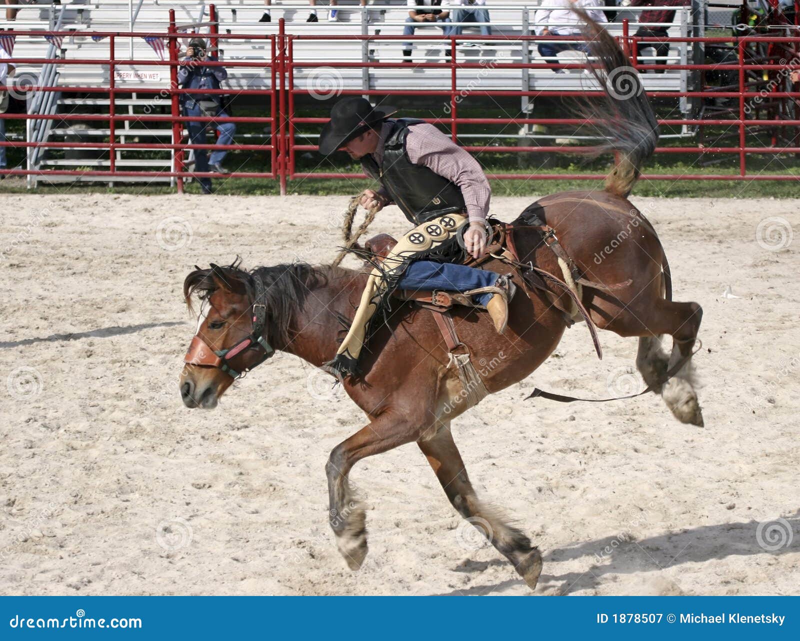 Bronco Riding 4 stock image. Image of bucking, western - 1878507