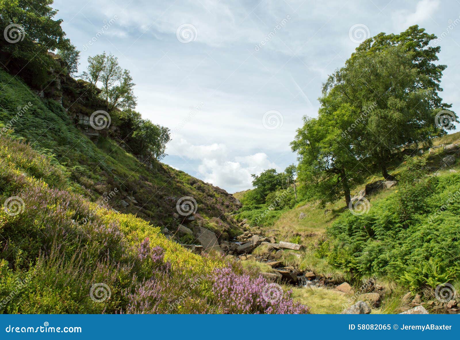 Bronte Falls stock image. Image of flowers, west, trees - 58082065